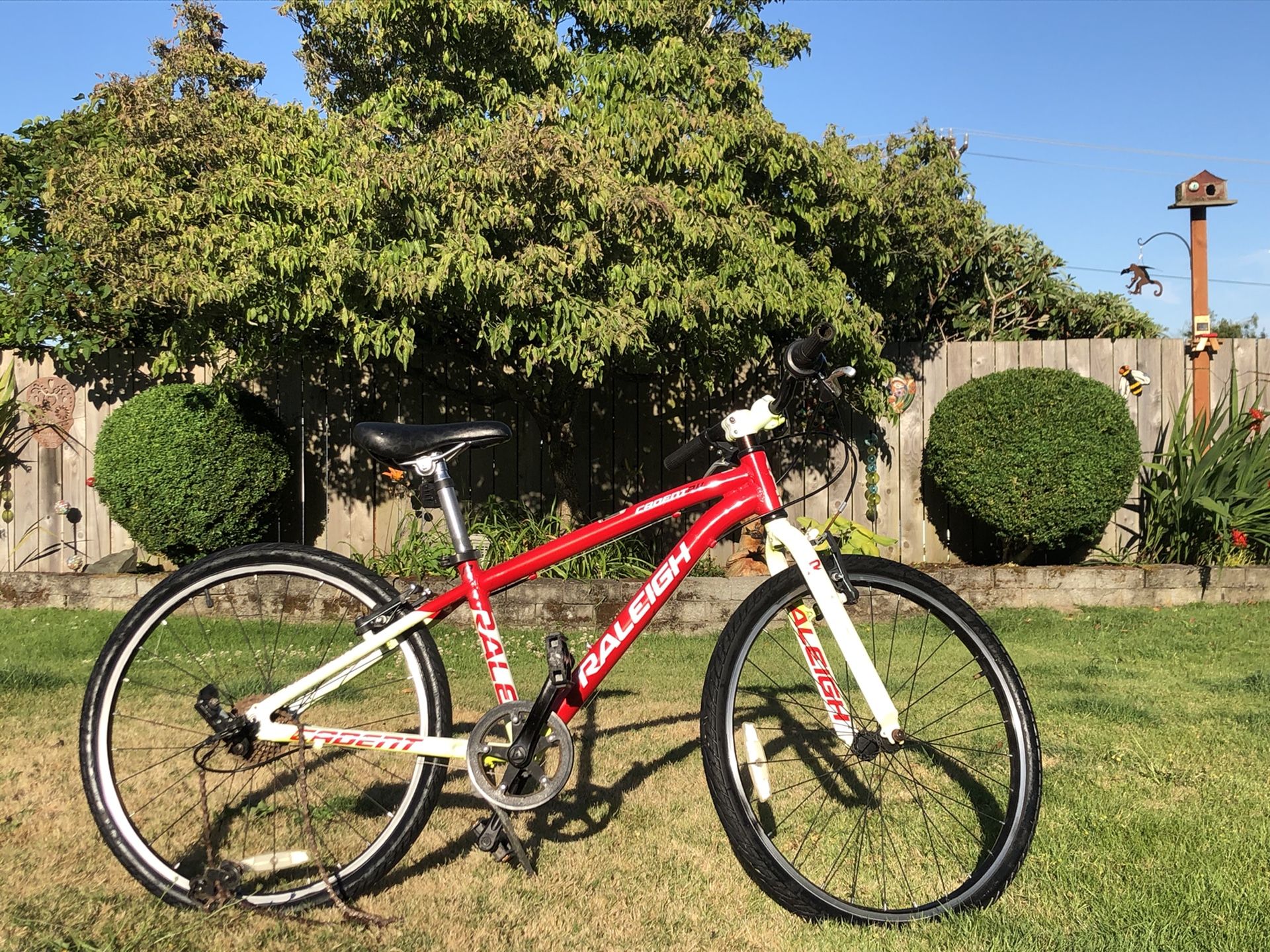 Raleigh Cadent 24” bike for Sale in Seattle, WA - OfferUp