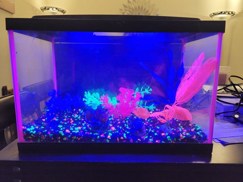 Glow Fish Tank