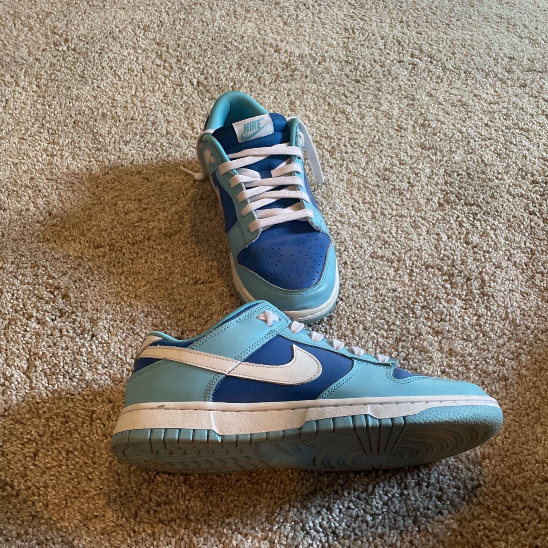 Nike Dunks 2022 Agran *used for Sale in Glenview, IL - OfferUp