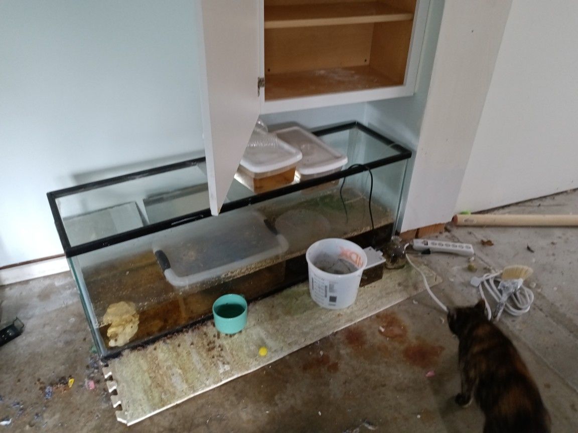 Fish tanks for Sale in Los Angeles, CA - OfferUp