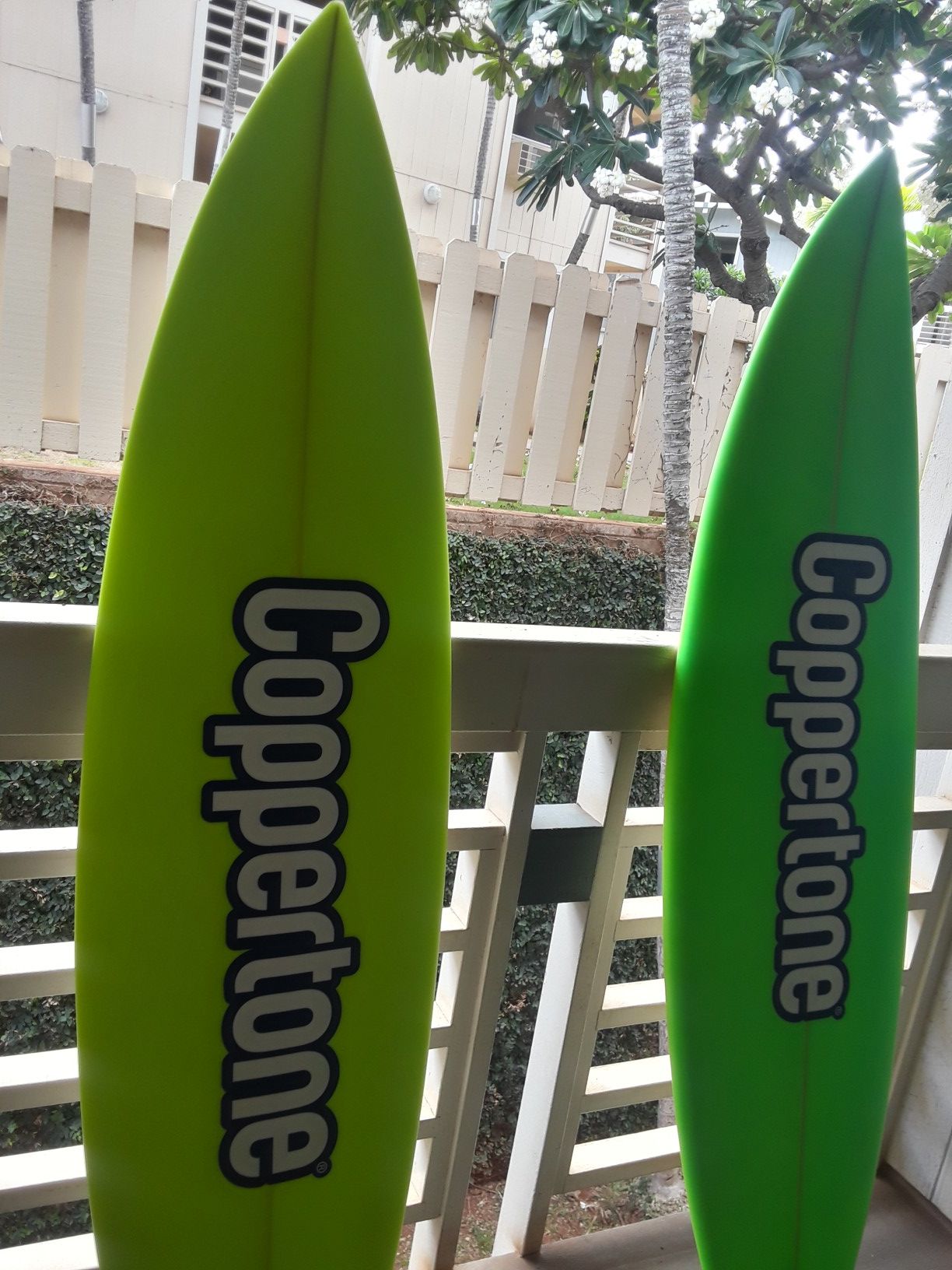 Neon Surfboards