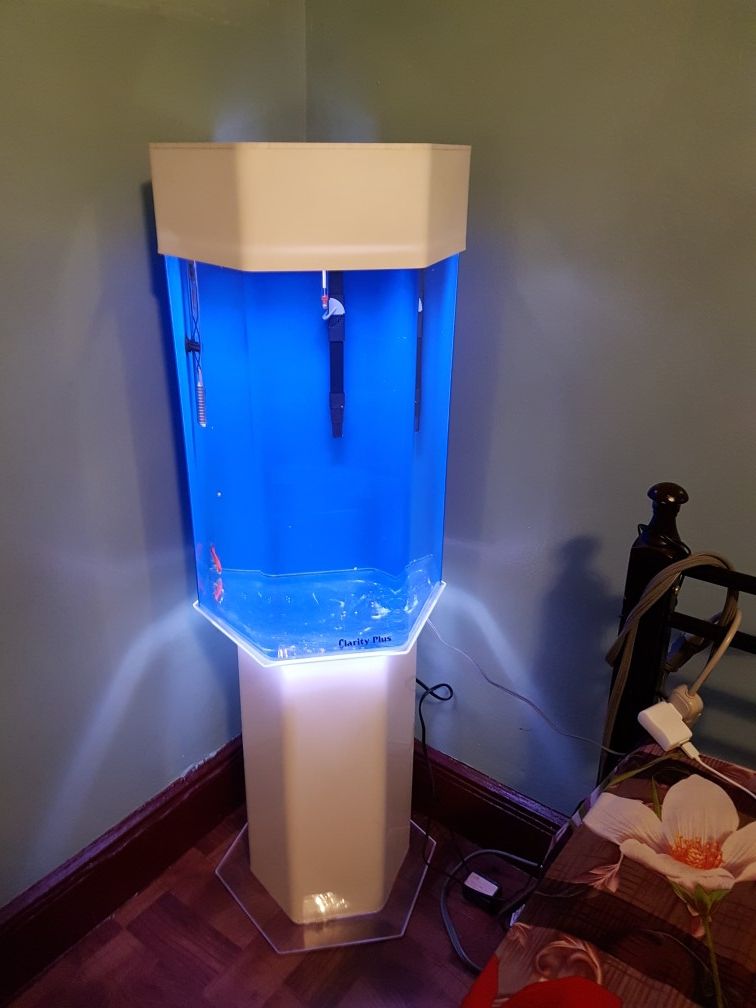 Fish Tank 30 Gallon Hexagonal Aquarium Acrylic Hexagon with Everything ...