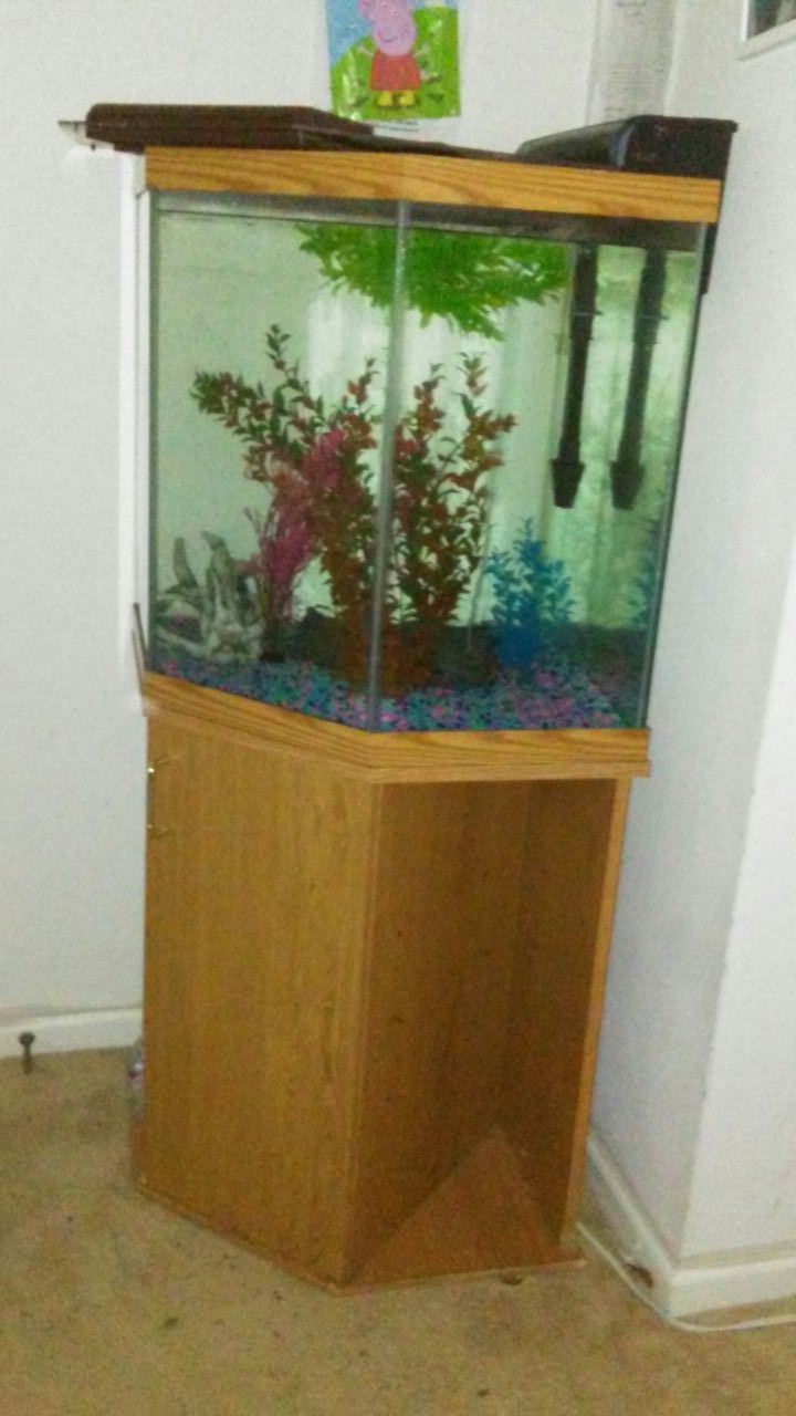 44 gallon octagon fish tank withstand for Sale in Williamsburg, VA ...