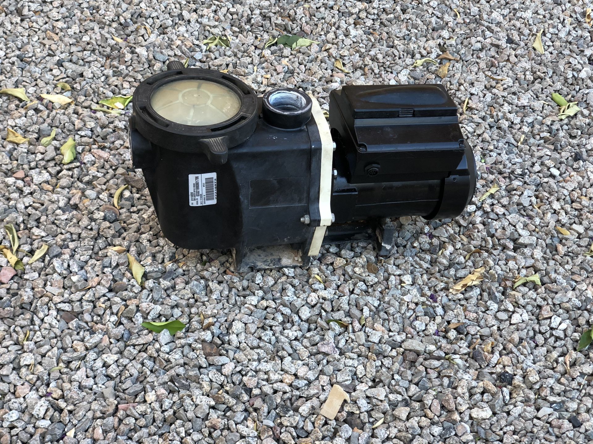 Pentair Intelliflo Pool Pump for Sale in Glendale, AZ - OfferUp