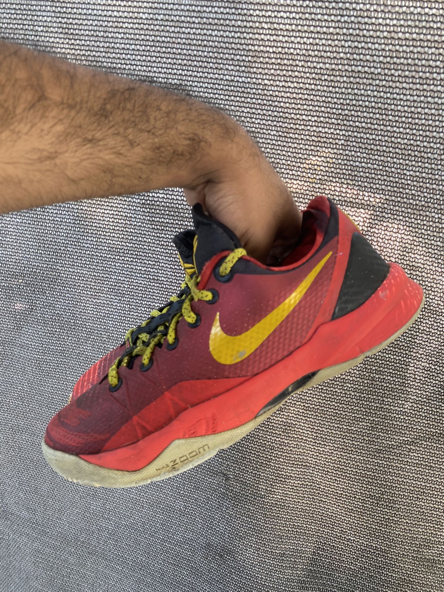 Kobe Venomenon 4 Year Of The Horse