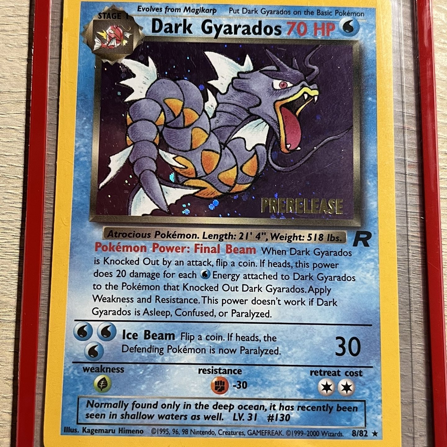 Black Gyarados