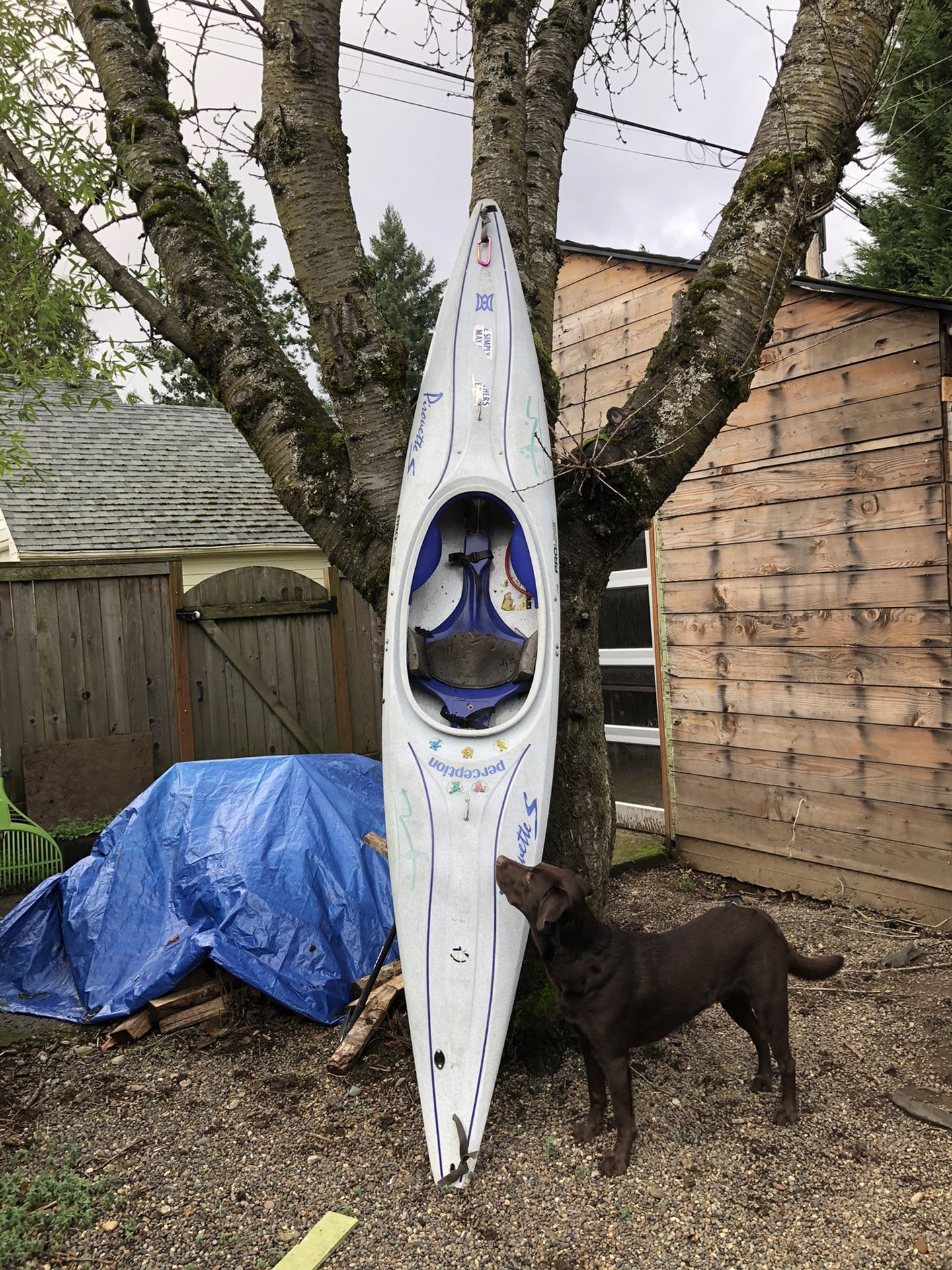 Kayak - Perception Pirouette S ProLine for Sale in Portland, OR - OfferUp