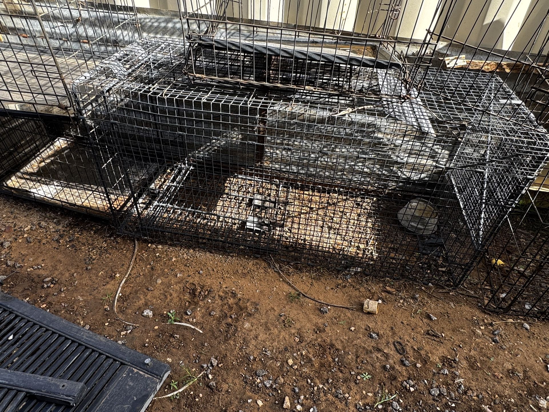 Cages for Sale in Adkins, TX - OfferUp