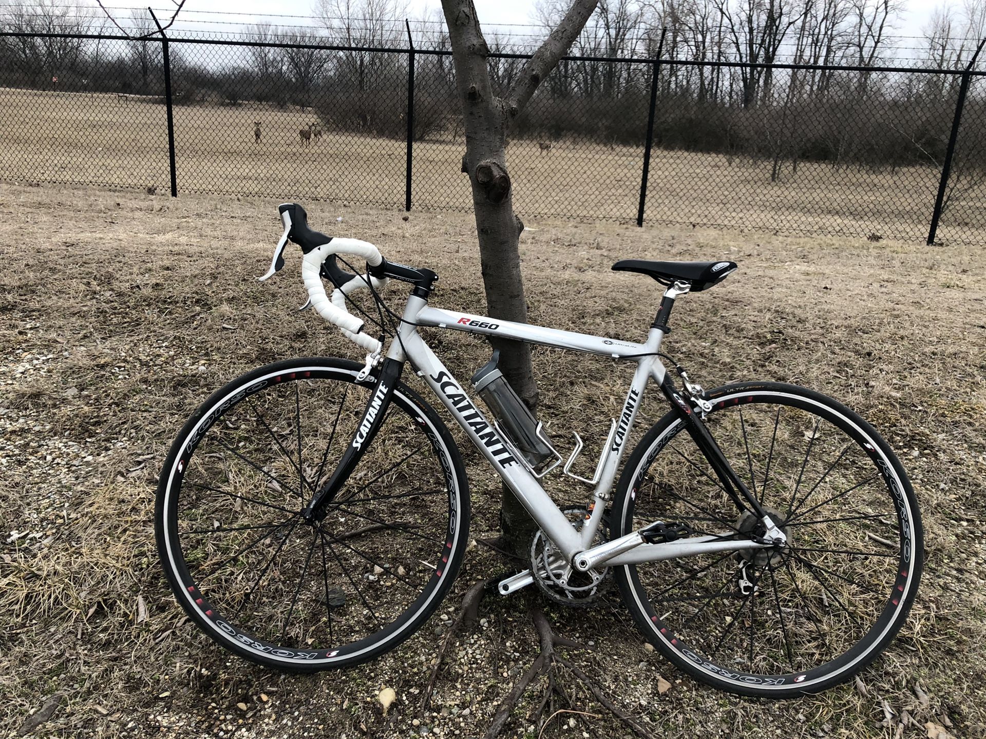 Road Bike 54 Scattante R660 carbon for Sale in Indianapolis, IN - OfferUp
