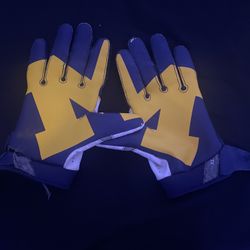 Ncaa Football Gloves With Logo