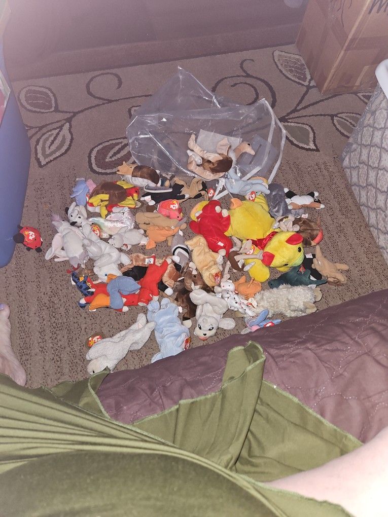 Beenie Baby Collectables Some 30 Yrs Old 46 Pcs $50 for Sale in ...