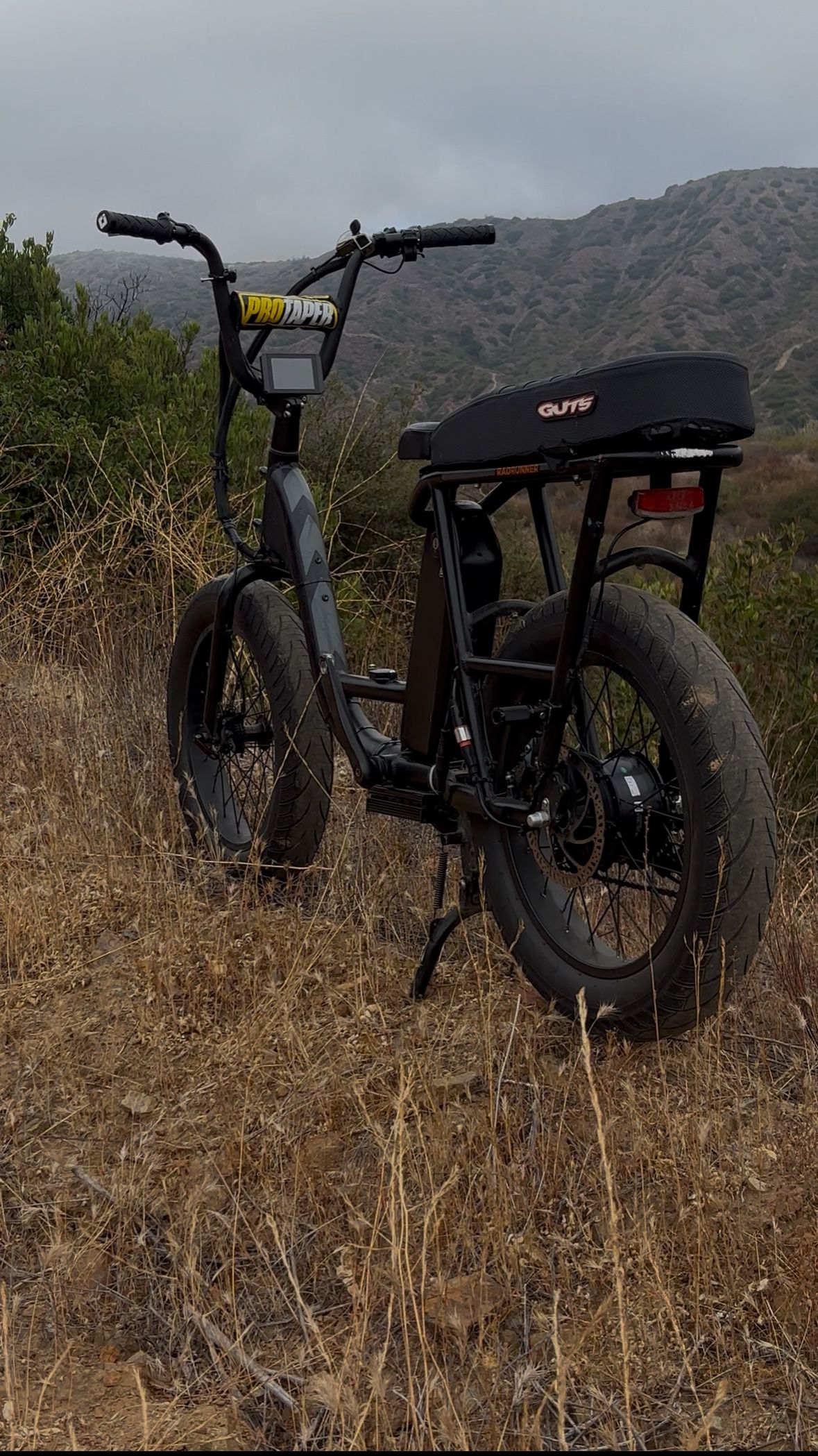 really upgraded rad runner