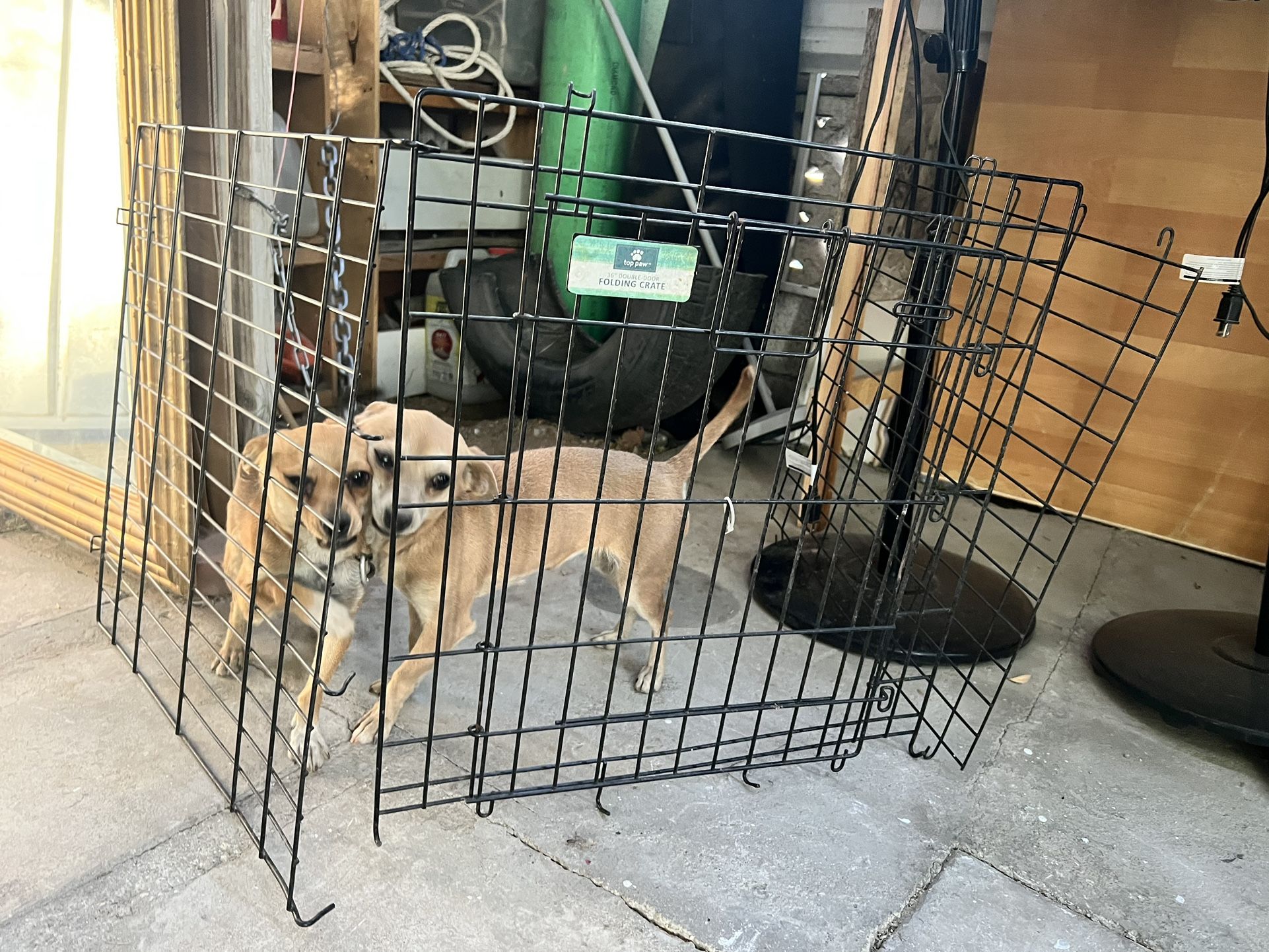 Small Dog Kennel for Sale in North Las Vegas, NV - OfferUp