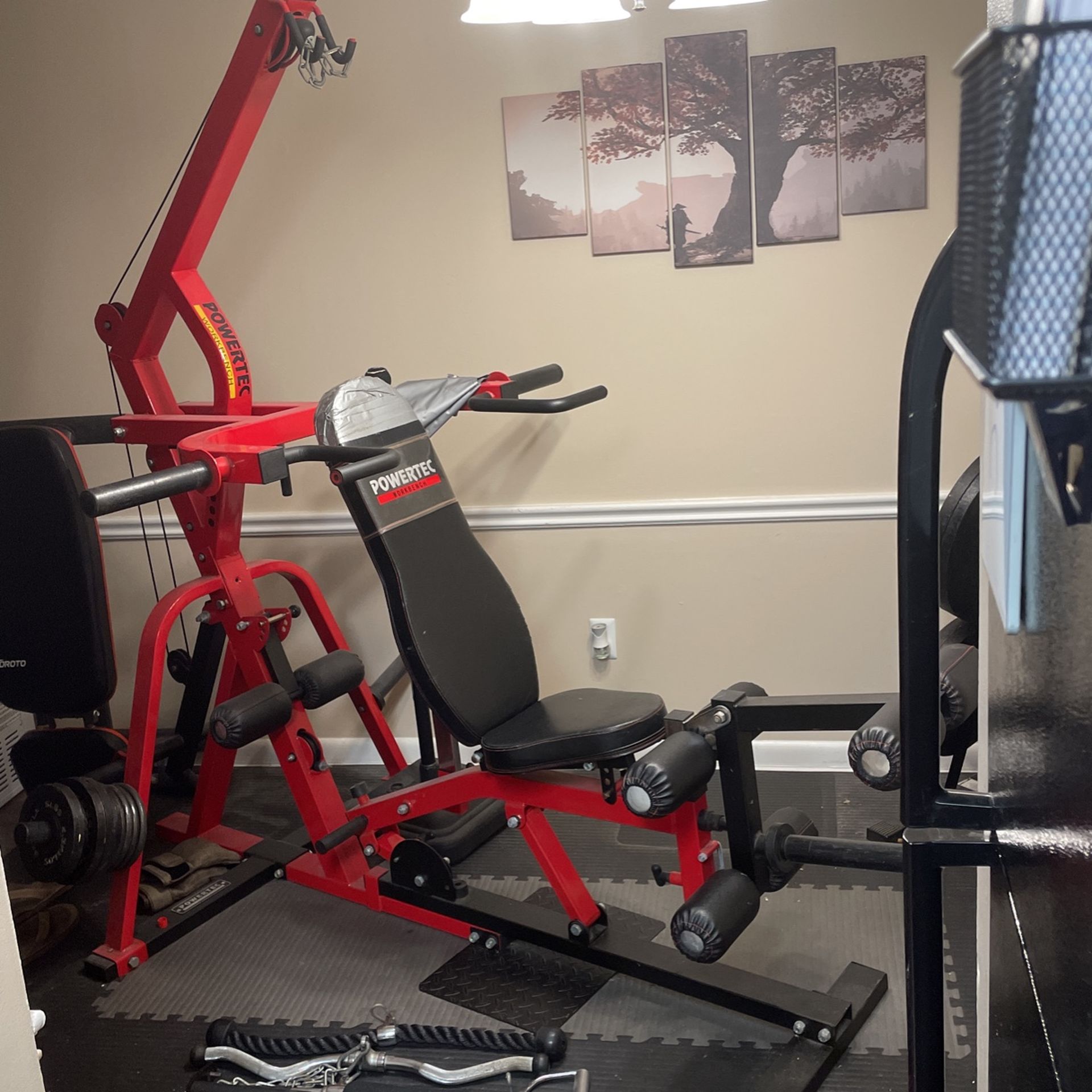 Powertec Leverage Machine, Attchments, Weights, Weight Tree, Spinner ...