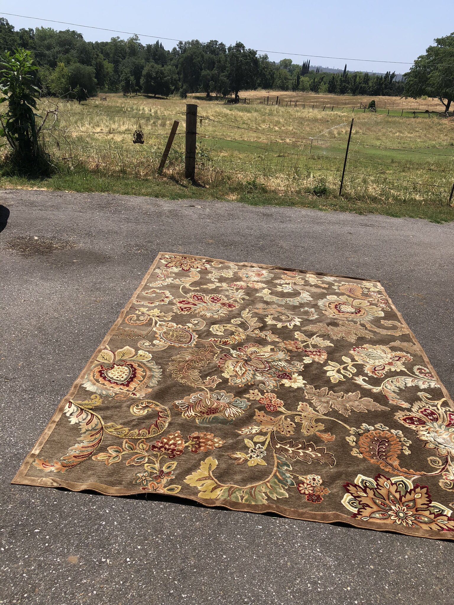 Paisley Rug 10x11 for Sale in Auburn, CA - OfferUp