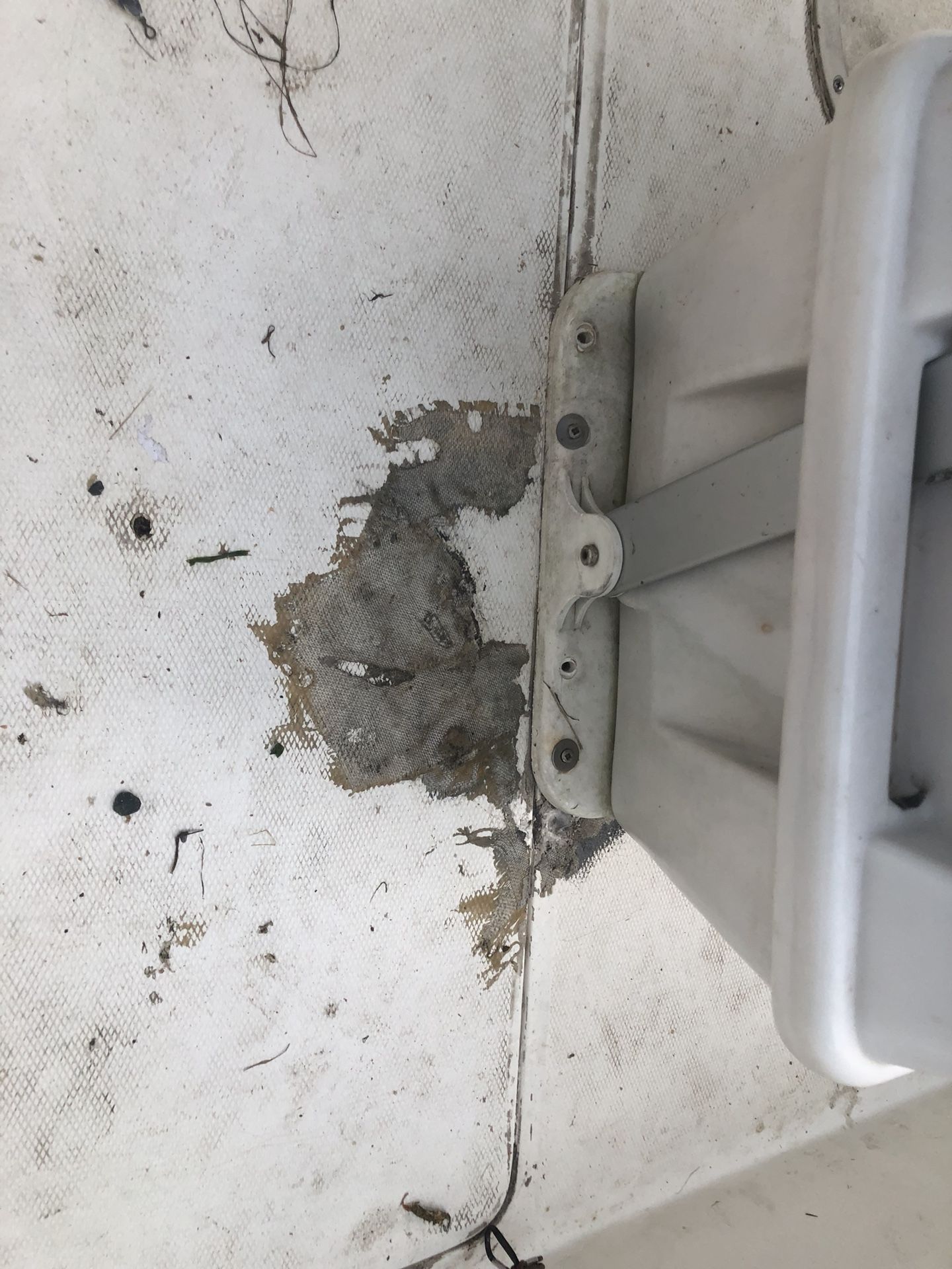 SunBird 180 Neptune for Sale in Easton, MD - OfferUp