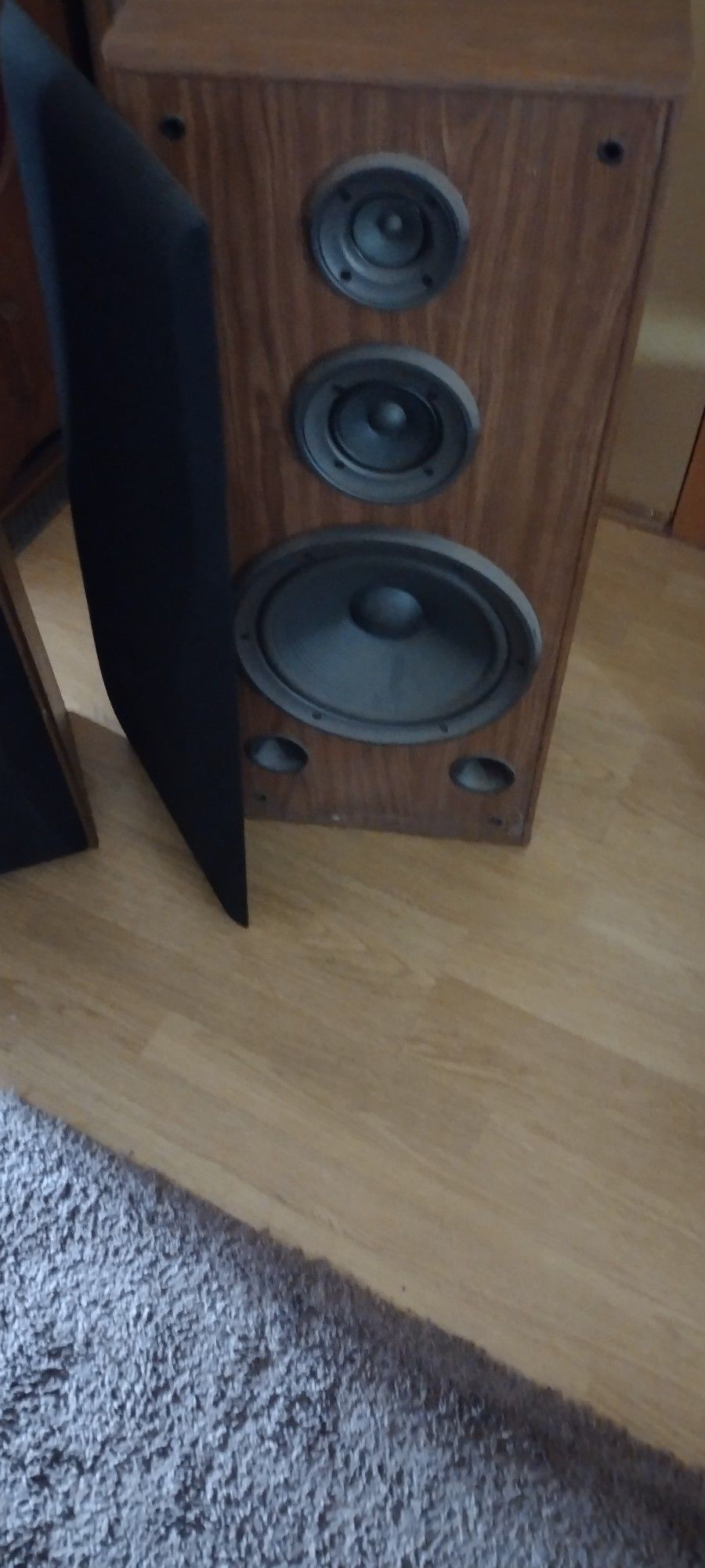Technics Tower Speakers