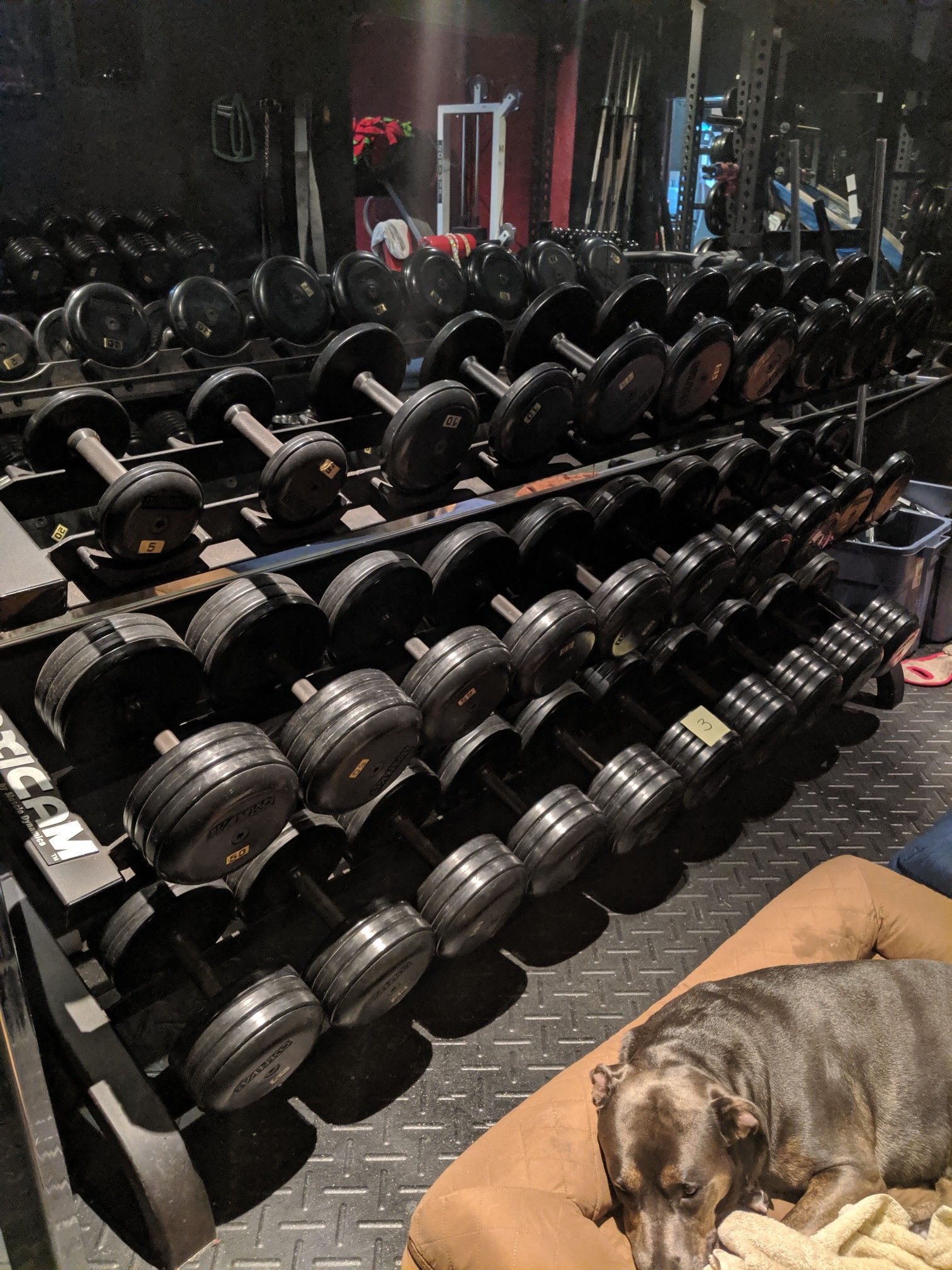 IVANKO RUBBER ENCASED DUMBBELL SET 5LB TO 140LB PLUS (2) MAXICAM 3 TEIR ...