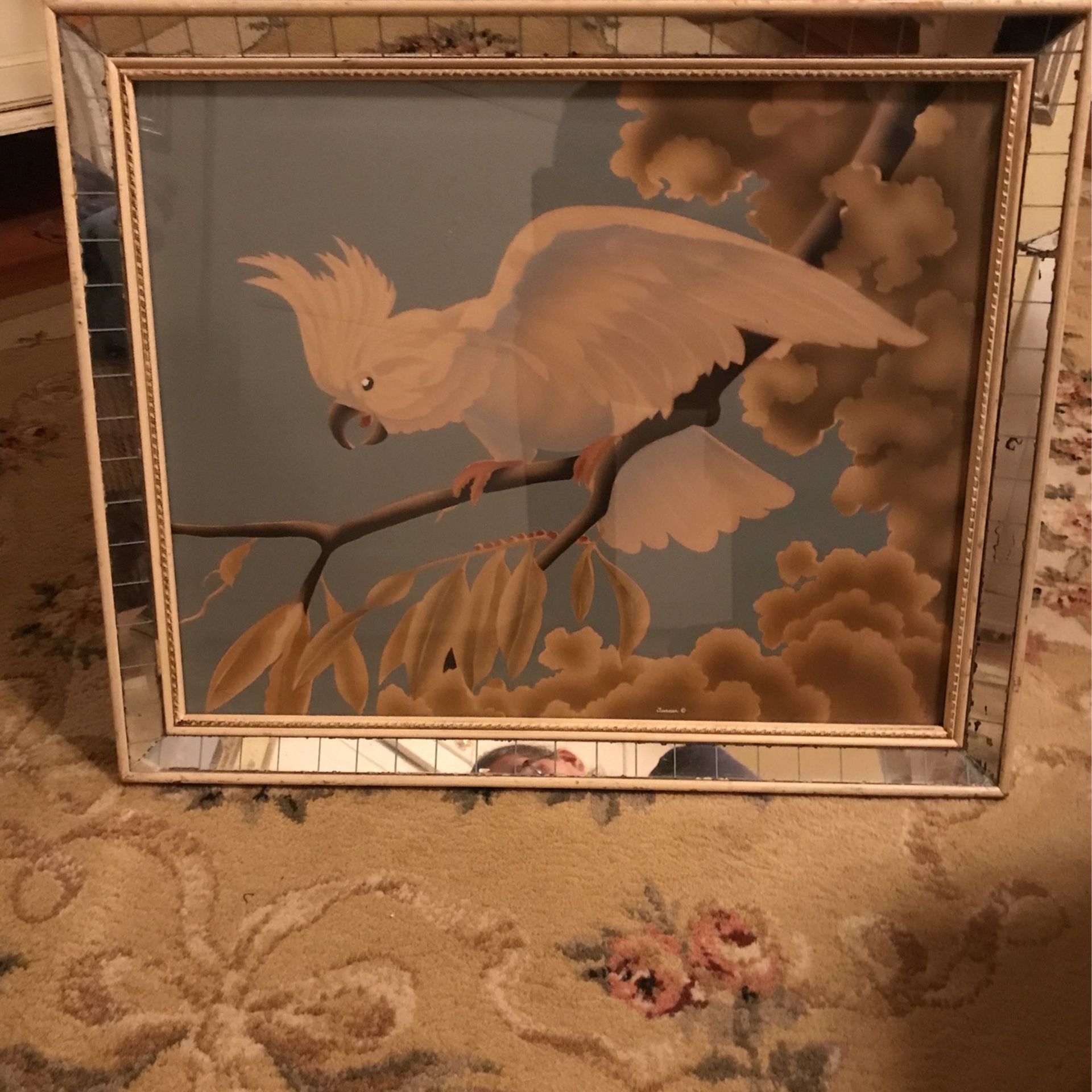 Turner Artist Cockatoos