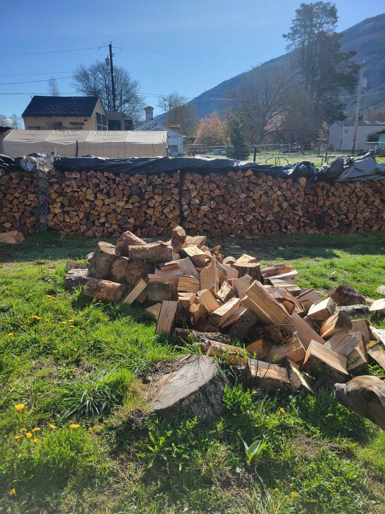 Firewood for Sale in Hamilton, WA - OfferUp
