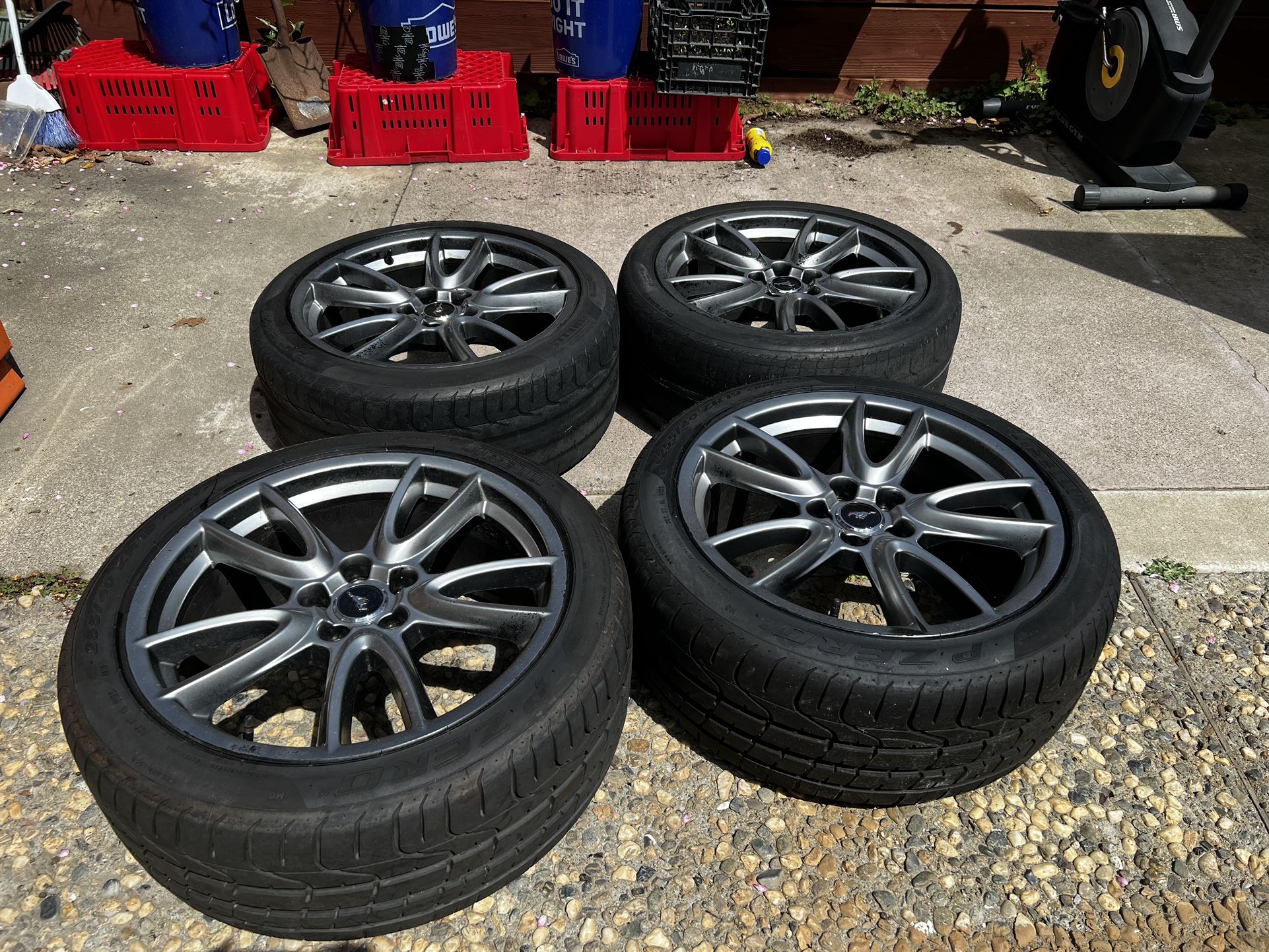 Mustang 5.0 Track Pack Wheels for Sale in Salinas, CA - OfferUp