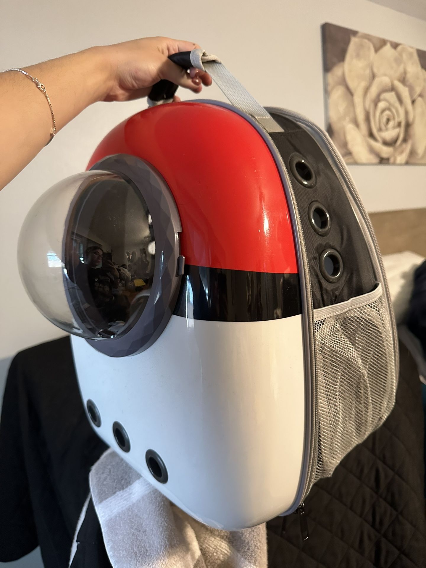 Cat Carrier Pokémon for Sale in Fontana, CA - OfferUp