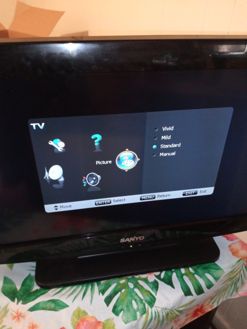 Sanyo Manuals Inch Tv