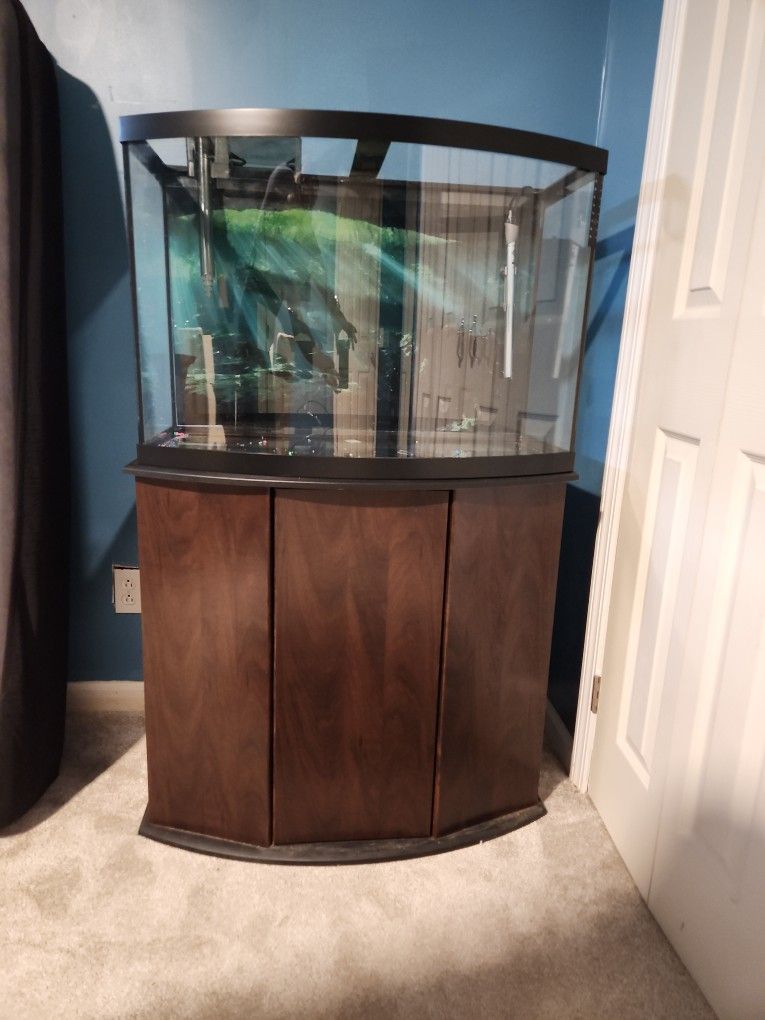 36 Gallon Bow Front Tank for Sale in Lindenhurst, NY - OfferUp