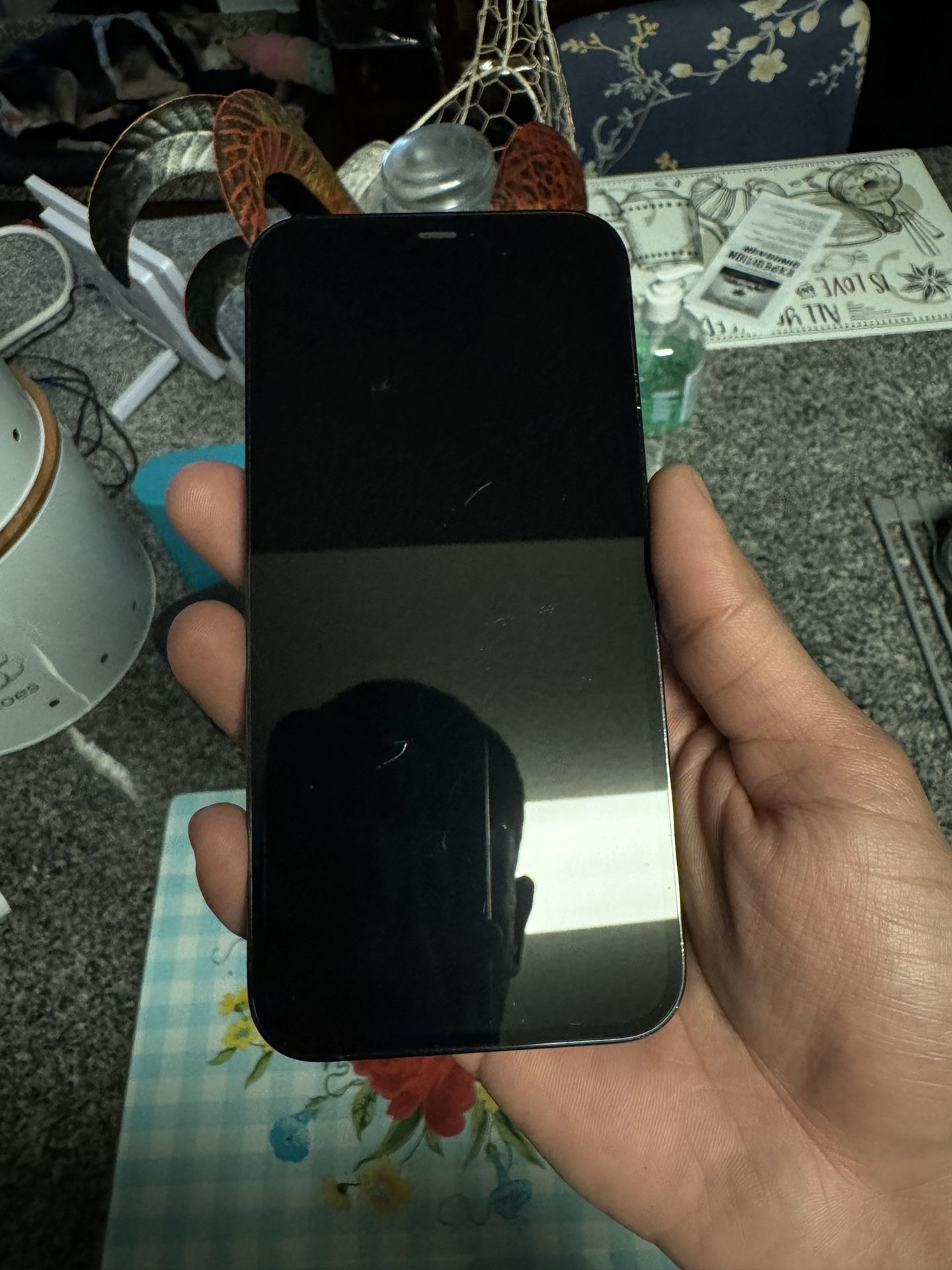Unlocked iPhone 12 Pro Max 128GB Bad Camera for Sale in Lake Worth, FL ...