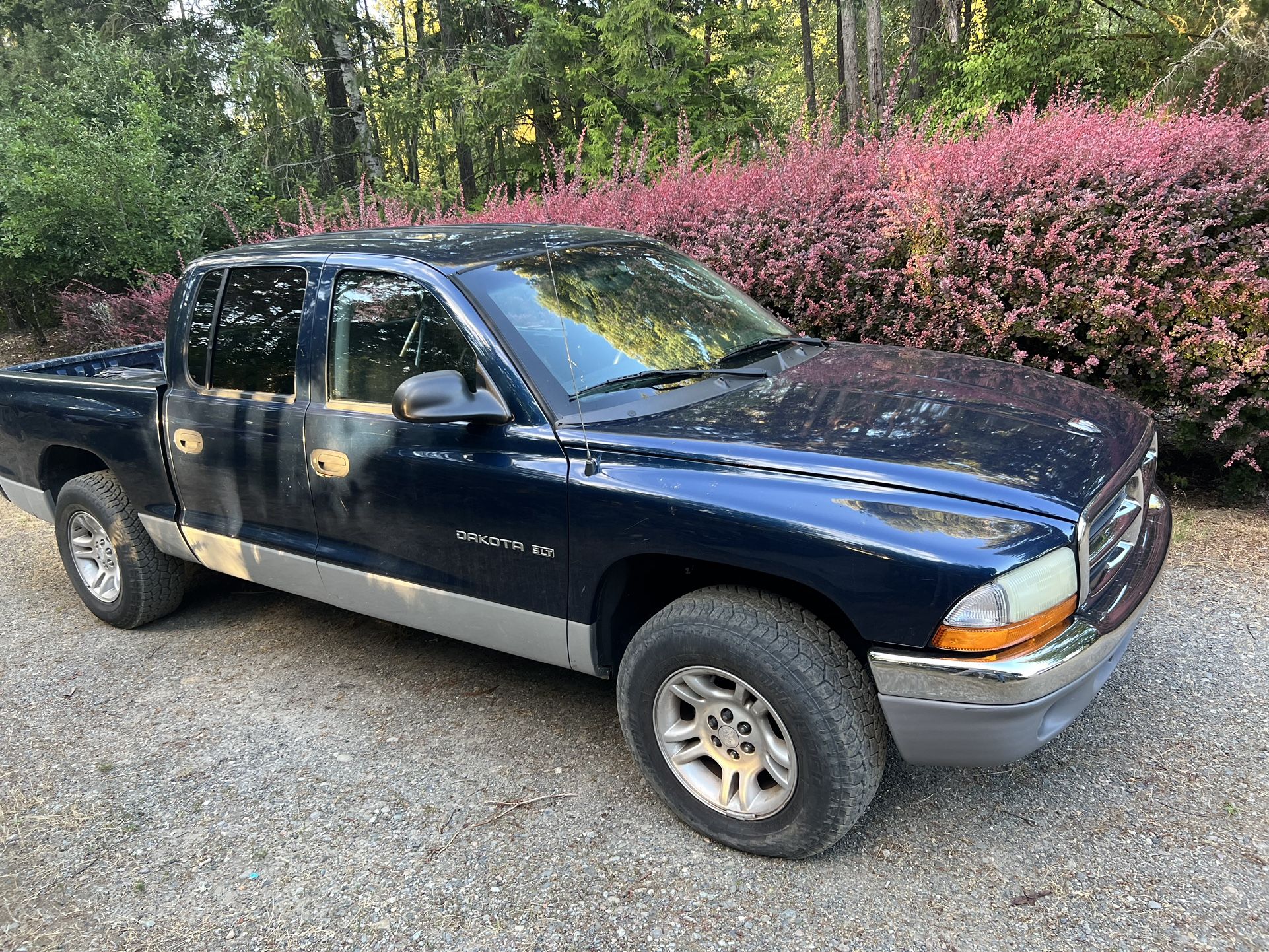 Sitemapcdatahttpswudinf Inetcom2001 Dodge Dakota V6