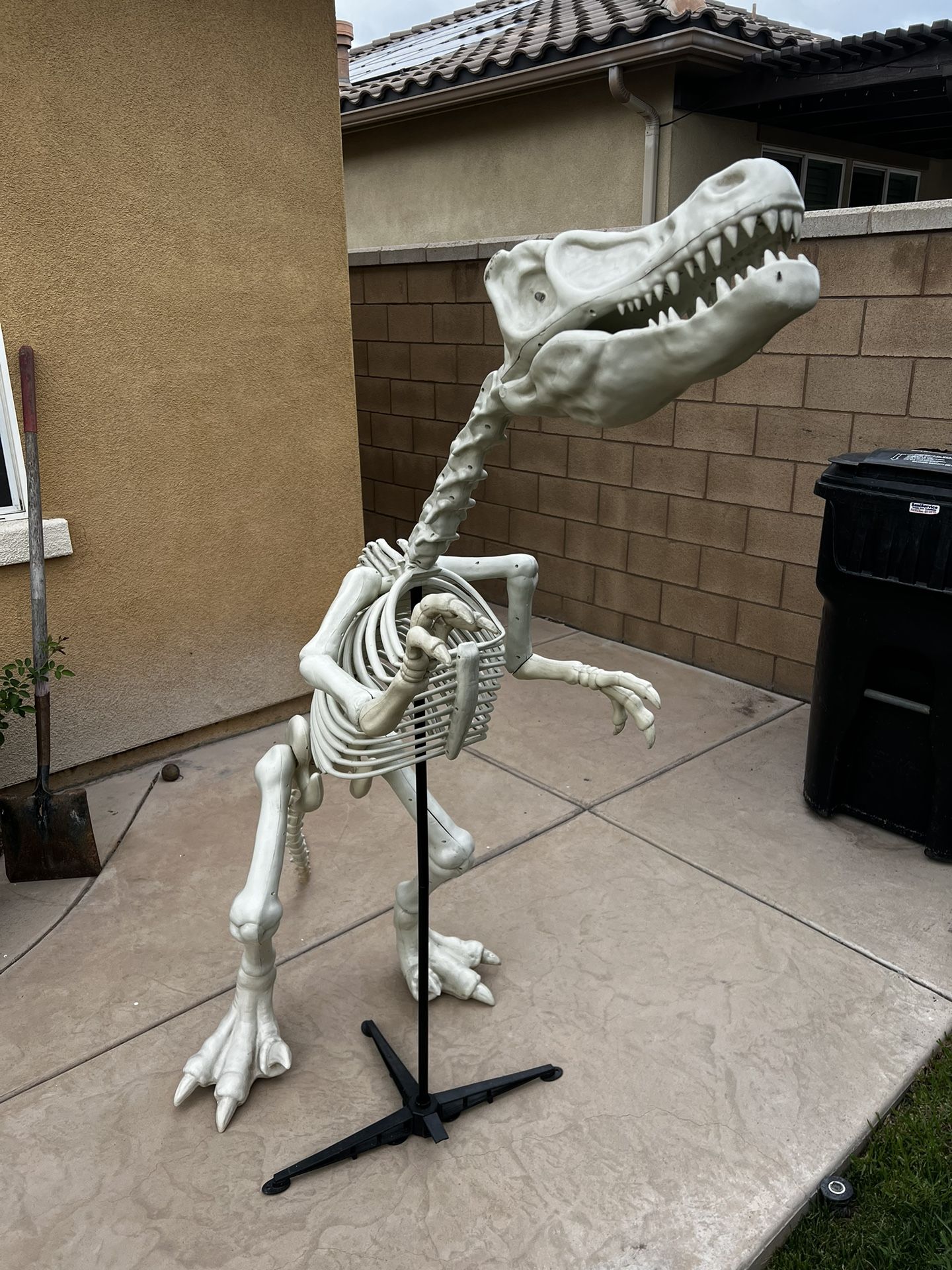 Used 6 ft. Standing Skeleton Raptor Dinosaur Halloween Decoration for ...