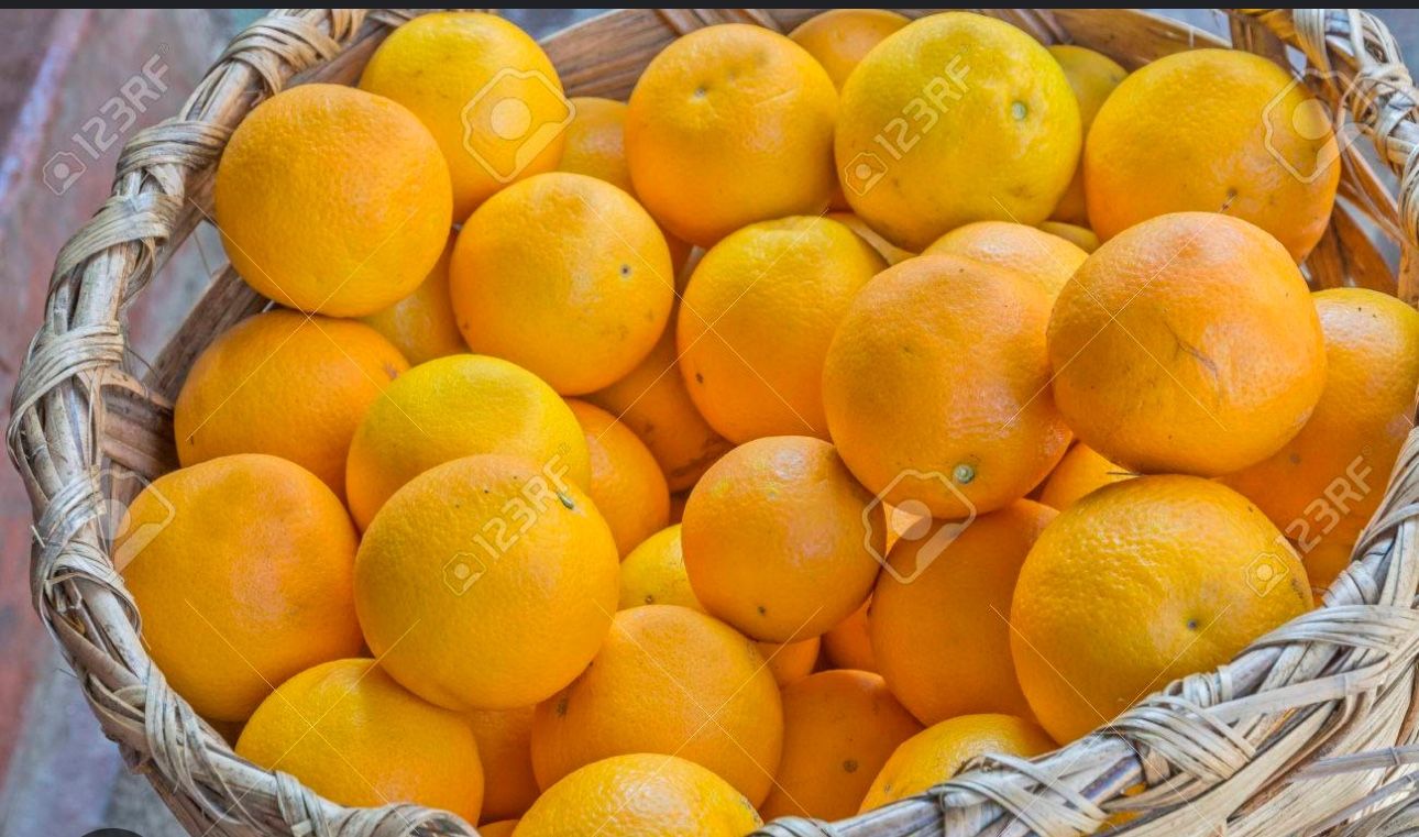 Backyard Sweet Oranges for Sale in Phoenix, AZ - OfferUp