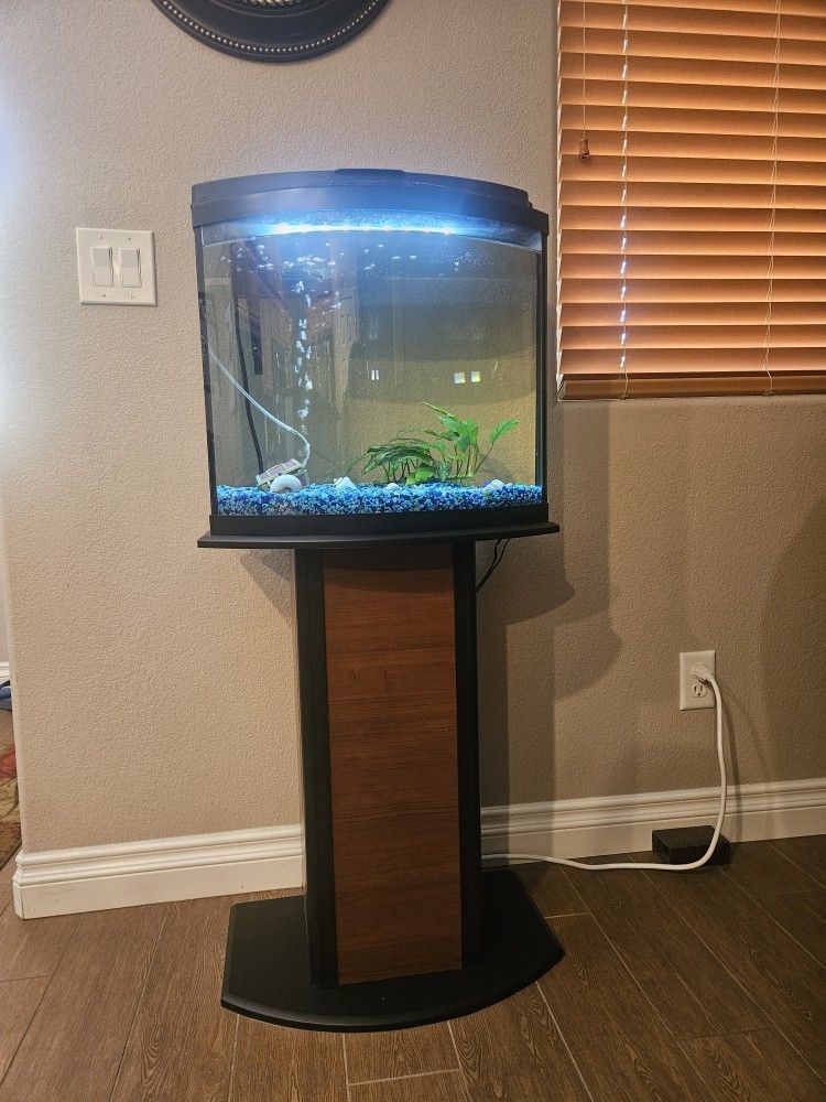 16 Gallon Fish Tank With Stand, Light, And Filter for Sale in Las Vegas ...