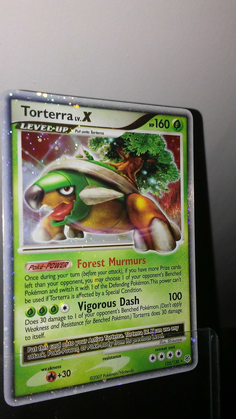 Torterra Pokemon Card