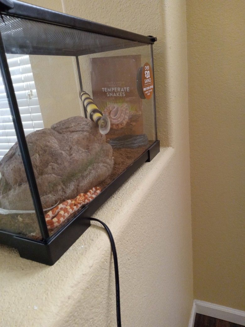 Snake & Tank Deal for Sale in Manteca, CA - OfferUp