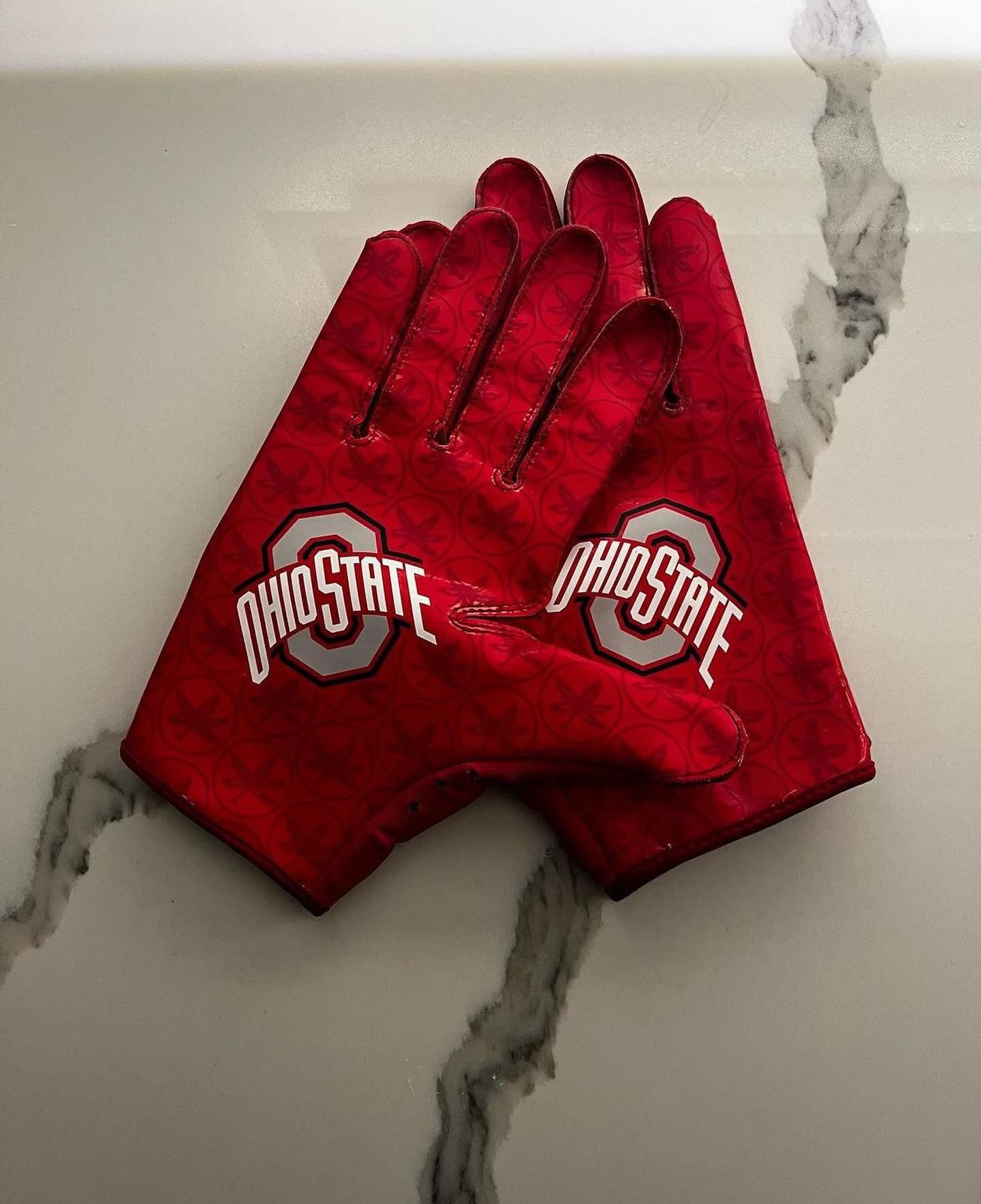 Ohio State Buckeyes Gloves