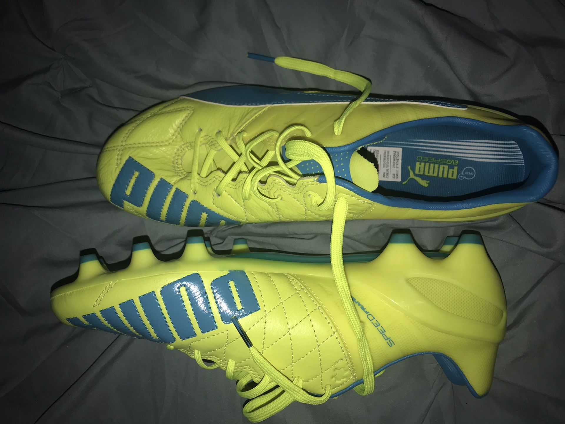Puma evo speed 1