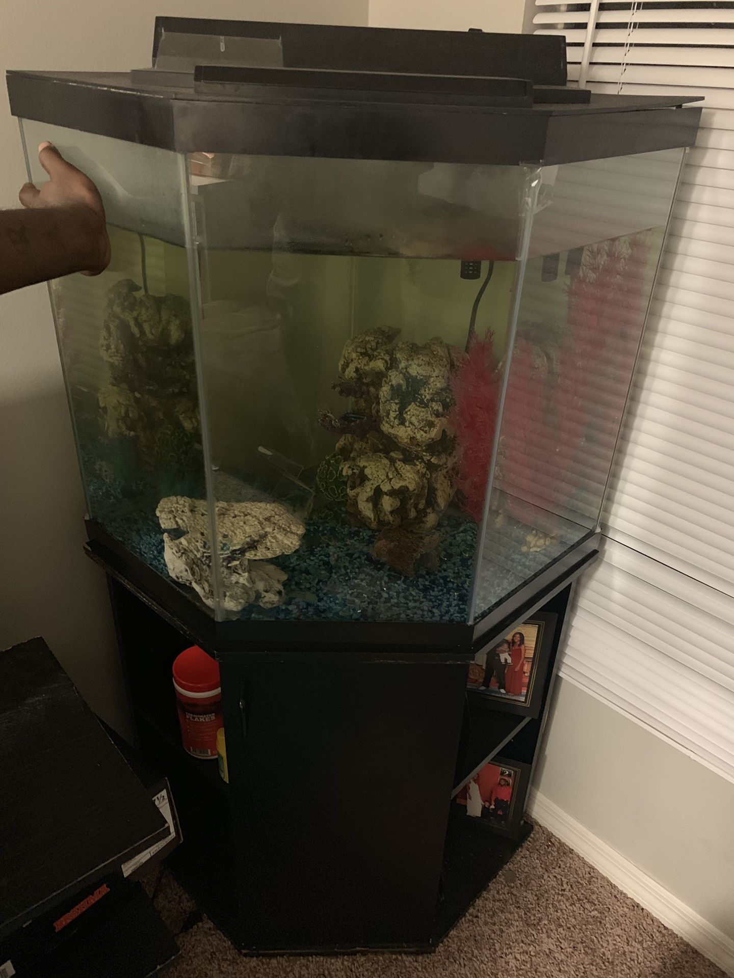 40 gallon corner fish aquarium for Sale in Orlando, FL - OfferUp