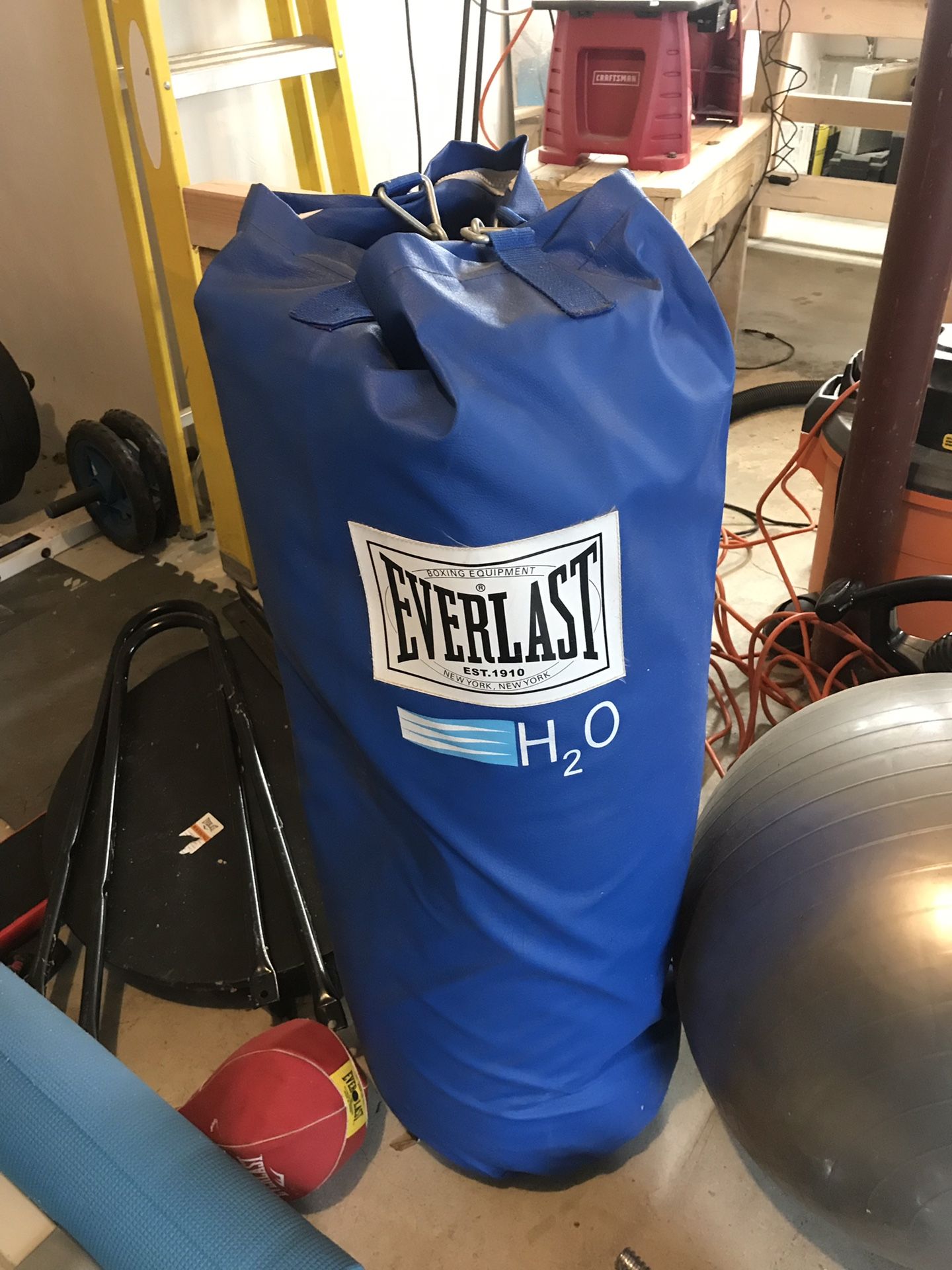 Blue Everlast Punching Bag