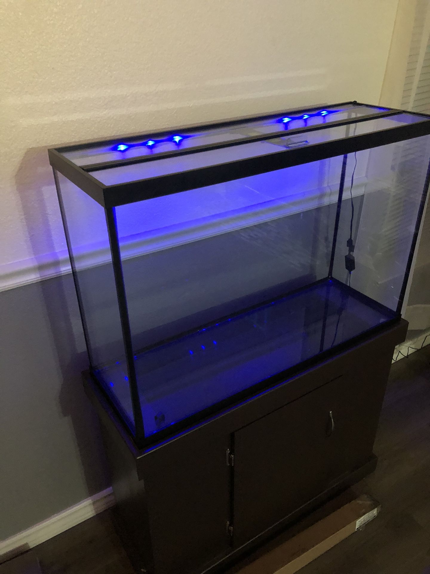 Large 45 Gallon Fish Tank Glass Aquarium Brand New Never Used (Stand ...