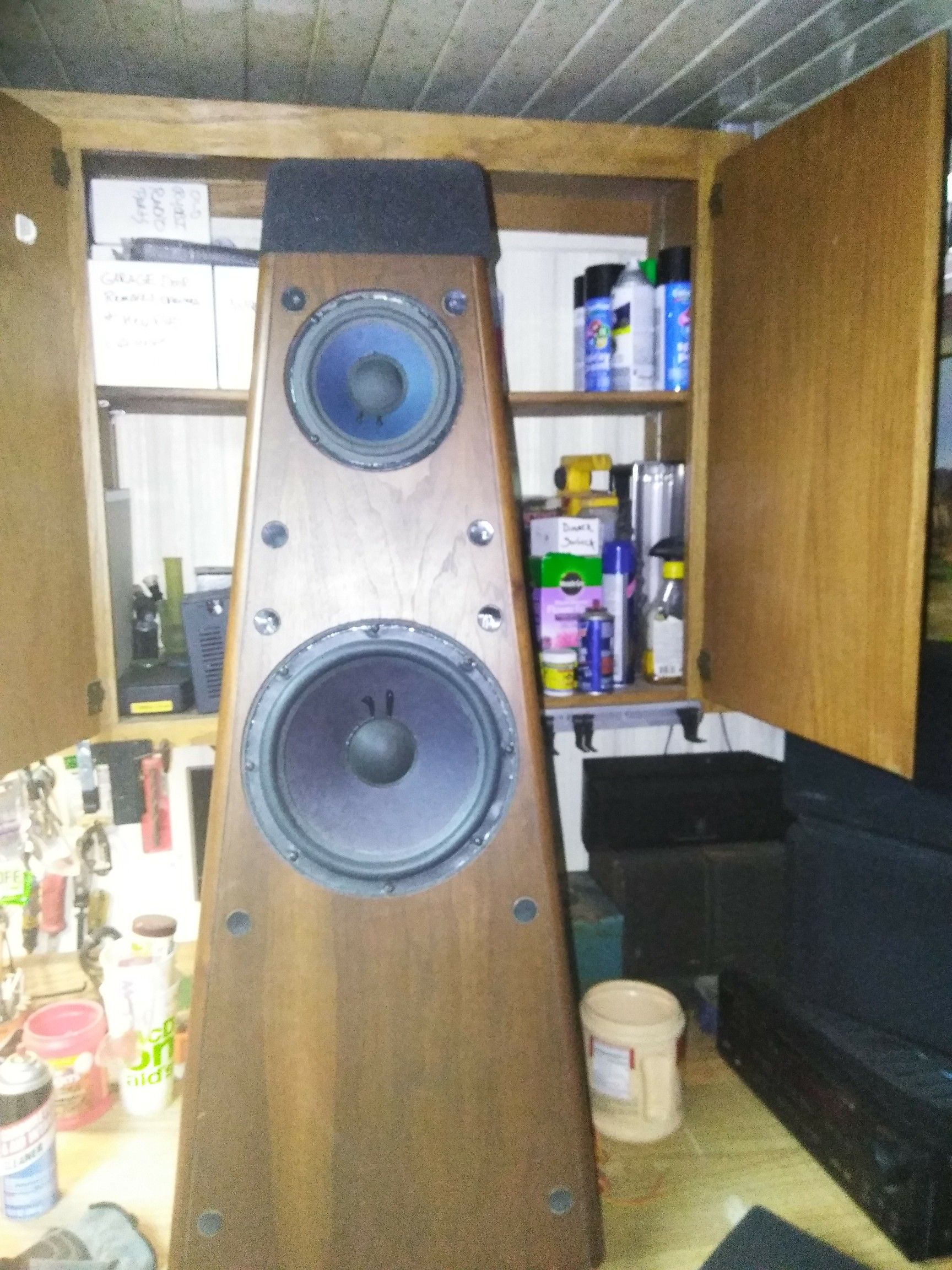Vintage Epicure 3.0 speakers for Sale in Phoenix, AZ - OfferUp