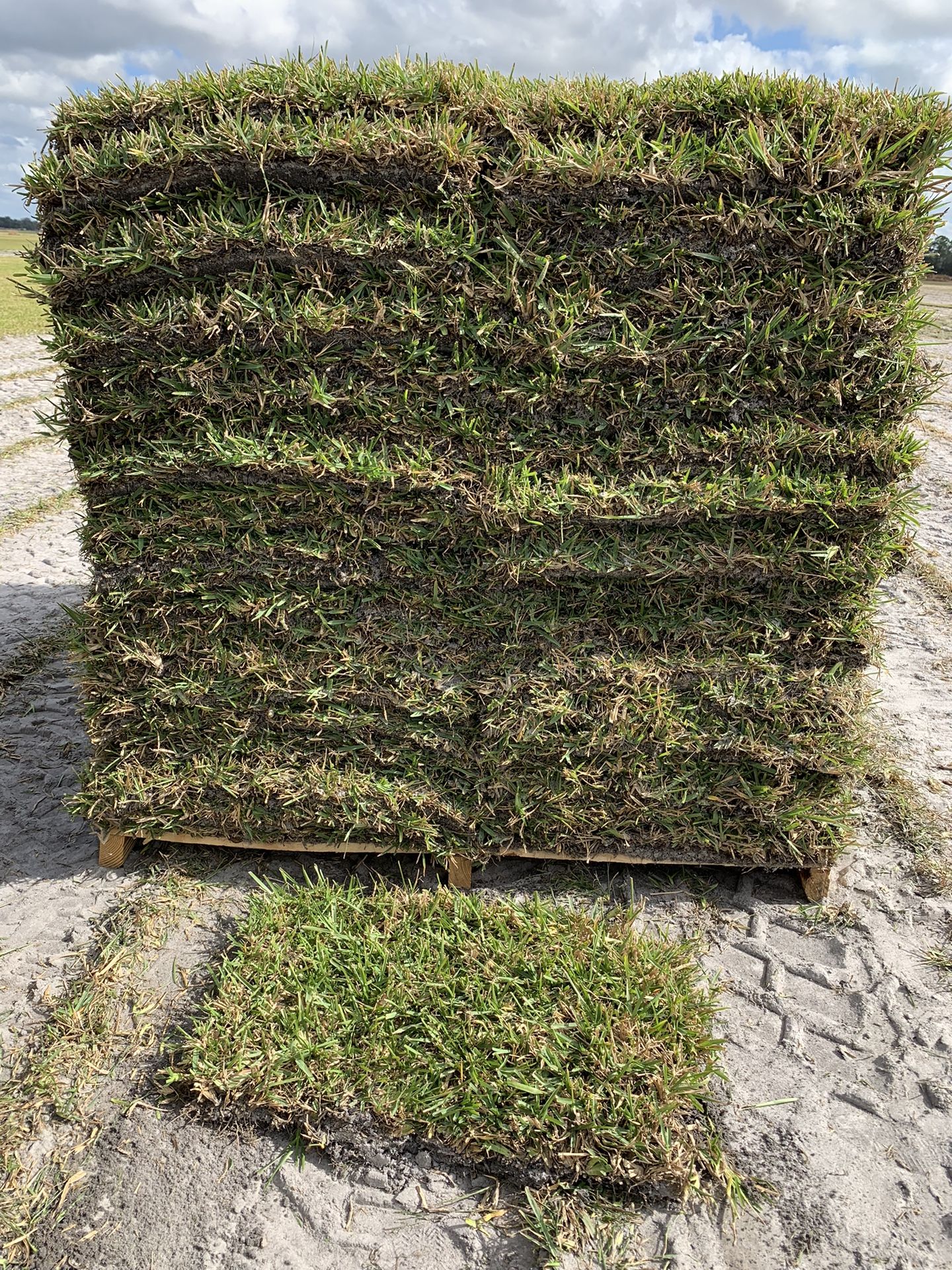 Sod, Fresh sod cut daily for Sale in Orlando, FL - OfferUp