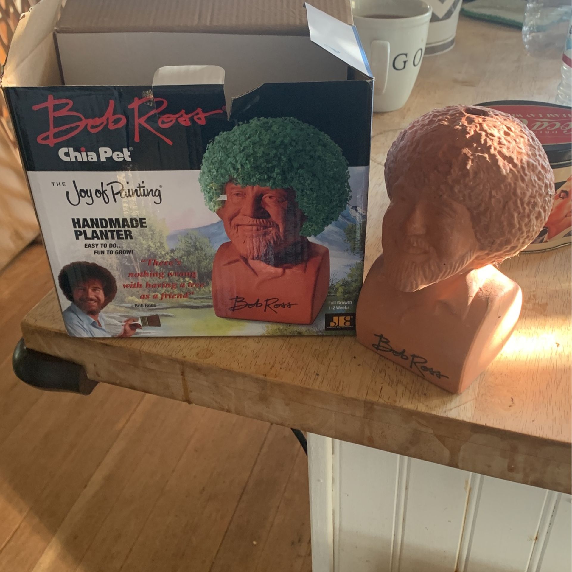 Bob Ross Chia Pet Head for Sale in Camarillo, CA - OfferUp
