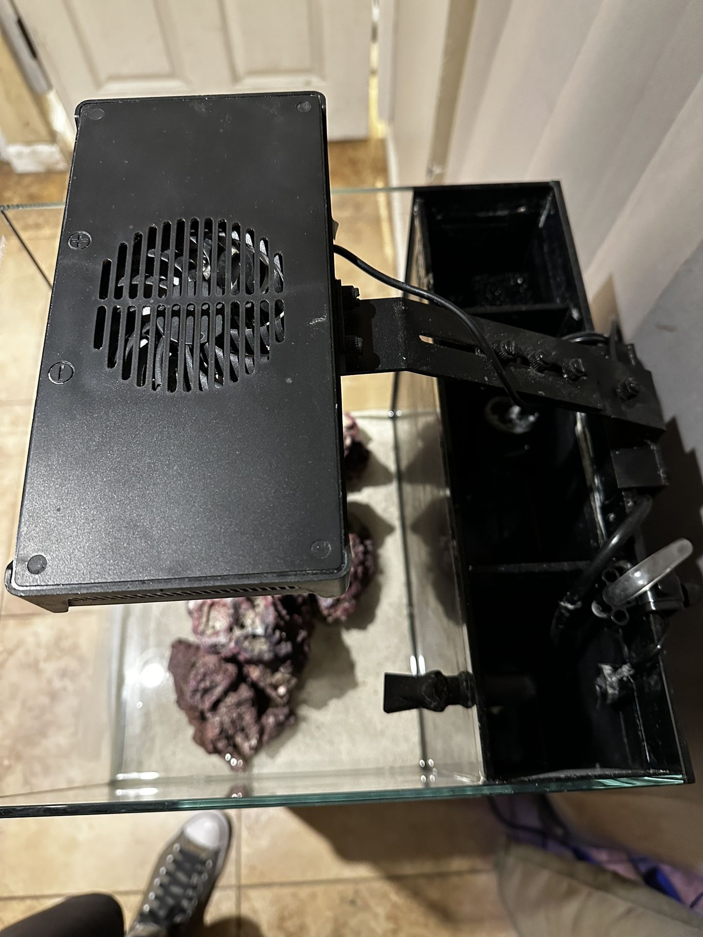 Waterbox 10 Gallon Micro Saltwater Reef Tank Setup for Sale in ...