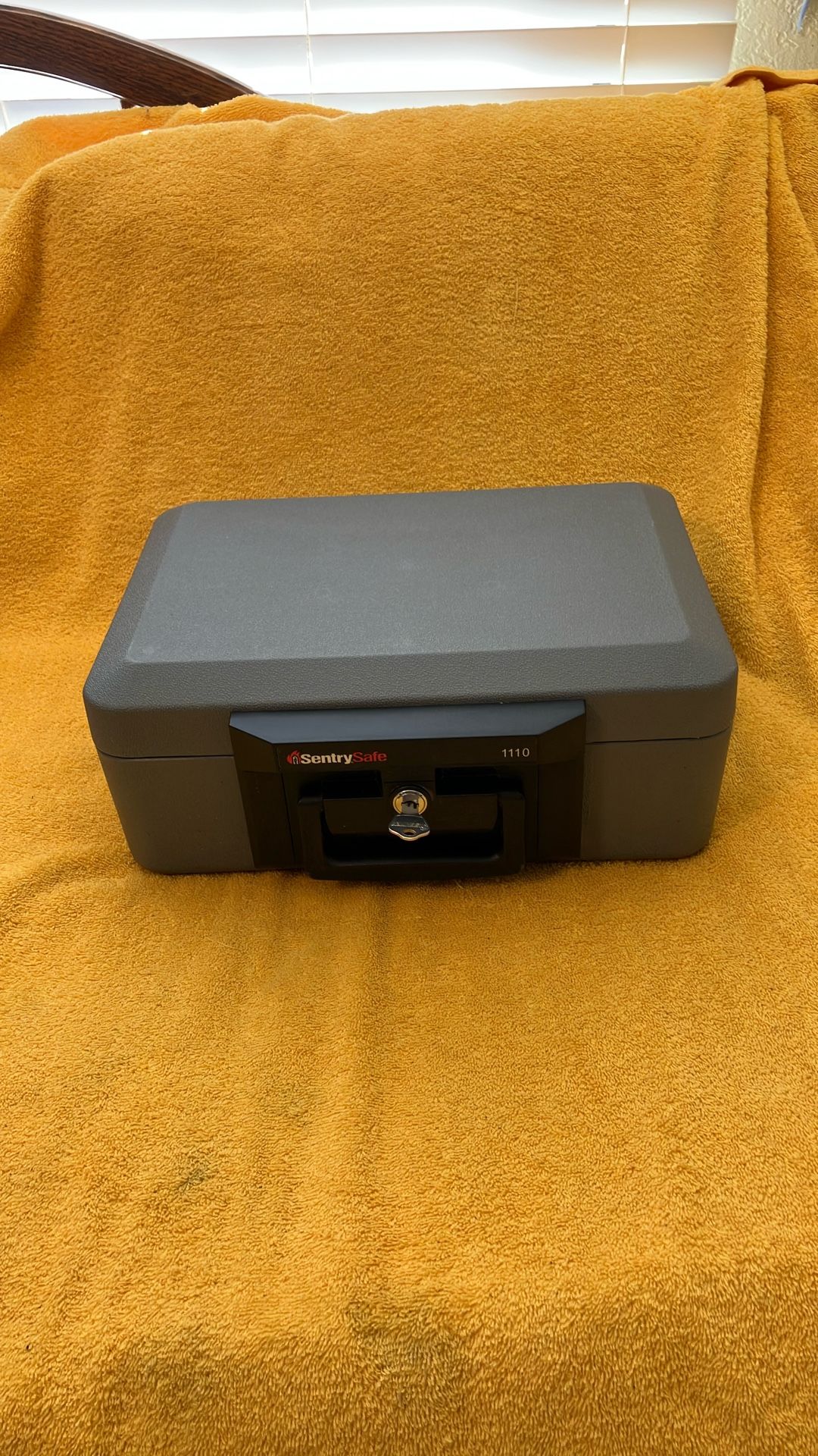 Sentry Safe 1110 for Sale in Valley Center, CA - OfferUp