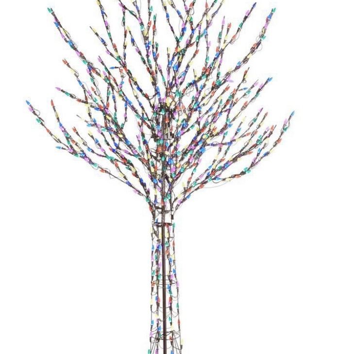 Lit Bare Branch Trees