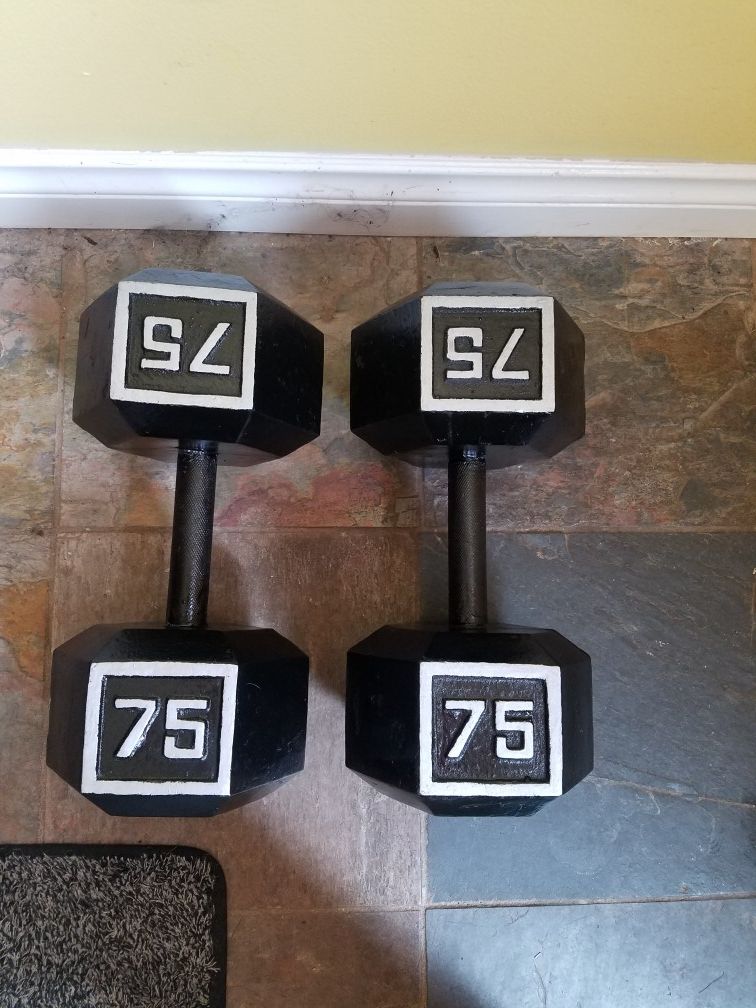 75 lb Dumbbells for Sale in Bellevue, WA - OfferUp