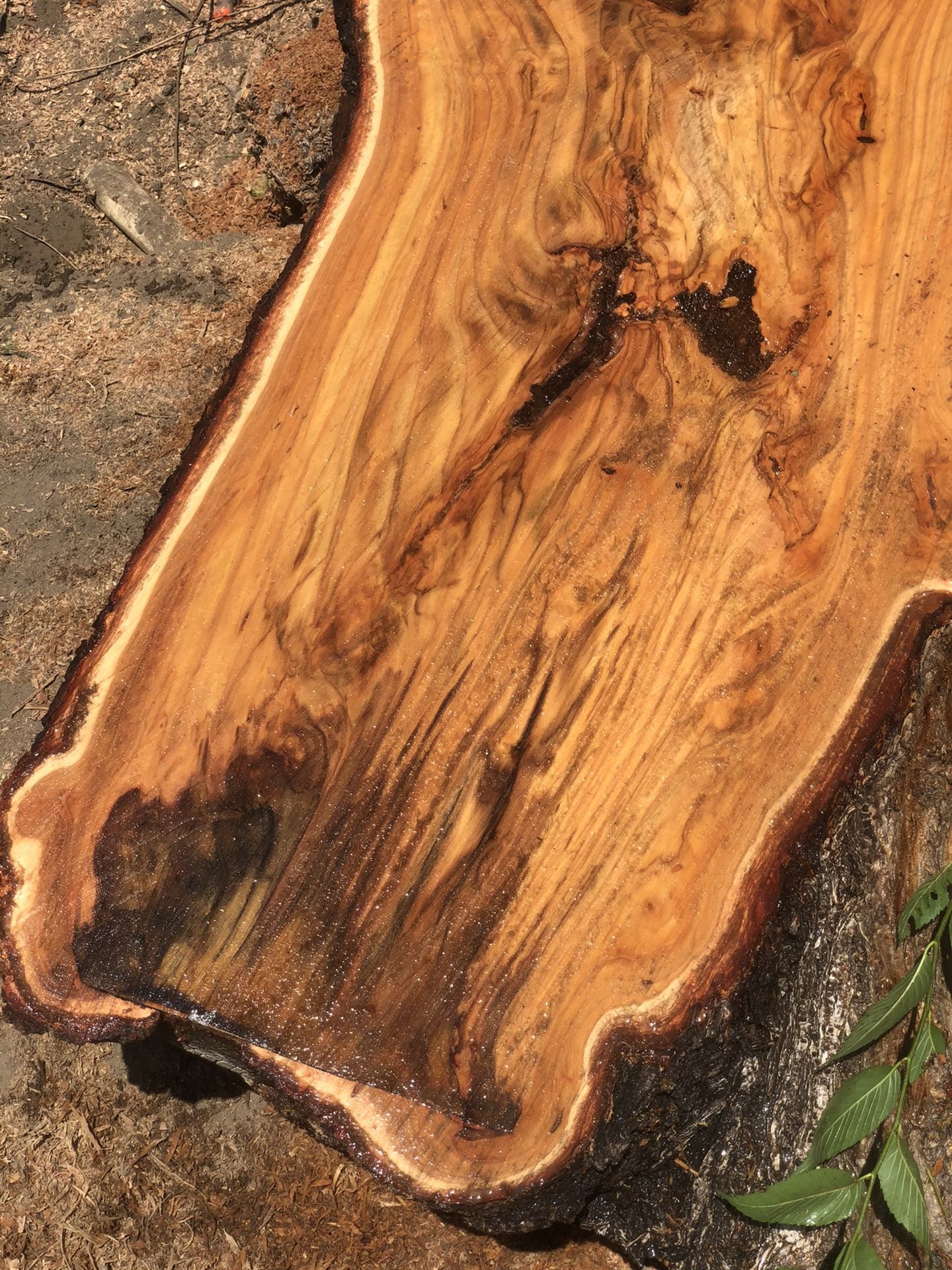 Various Rough cut wood slabs for woodworking, live edge, tables, coffee ...