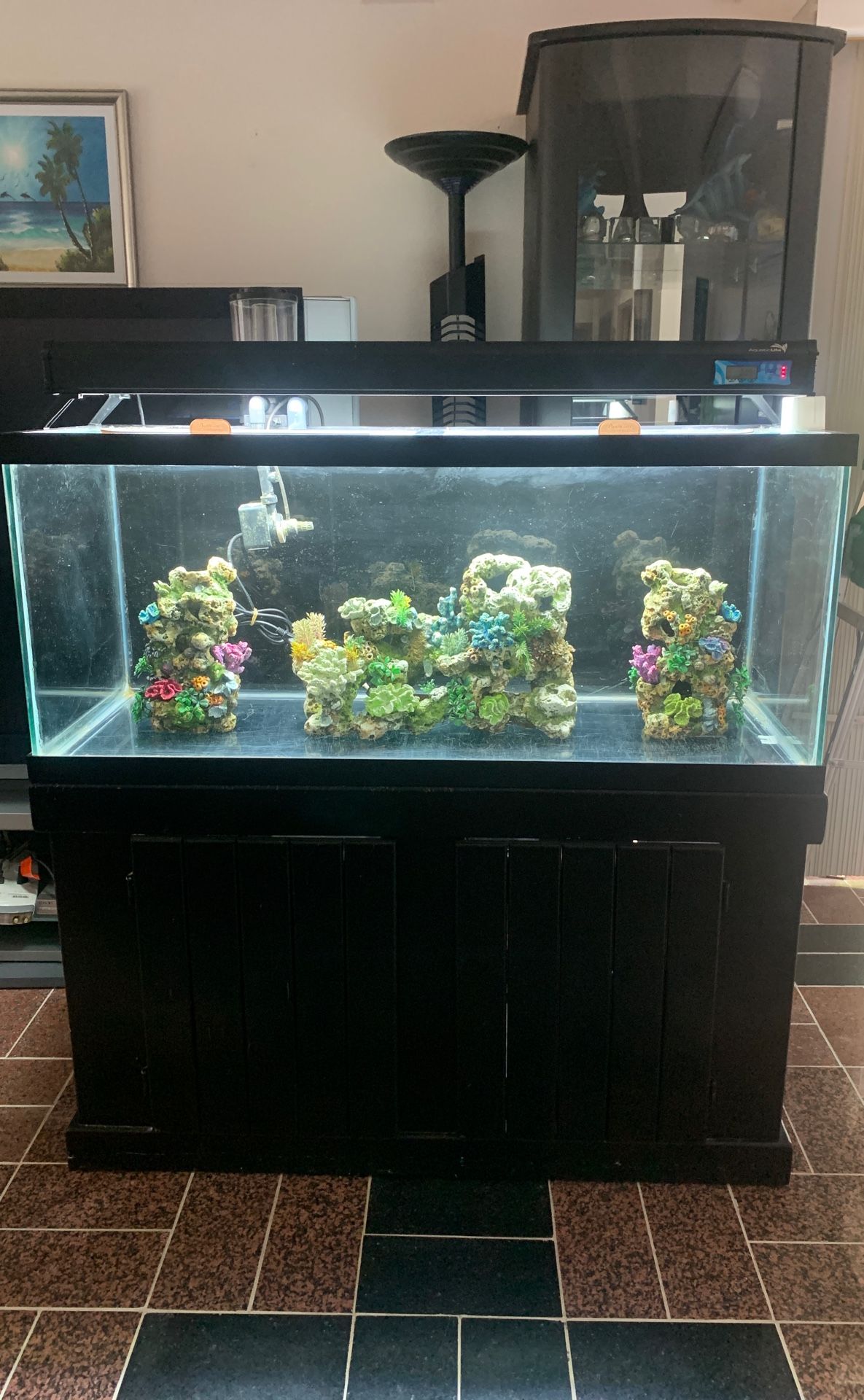 Complete 75 Gallon Aquarium fish tank for Sale in Kent, WA - OfferUp