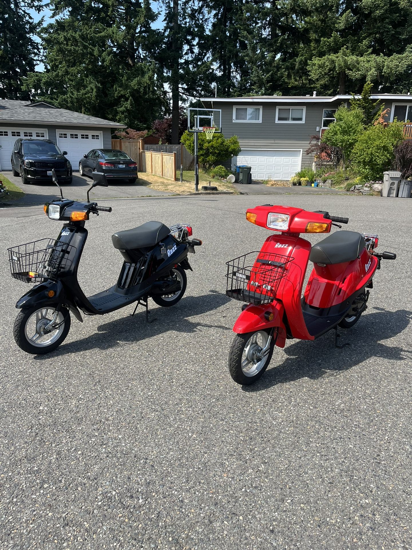 Yamaha Razz for Sale in Renton, WA - OfferUp